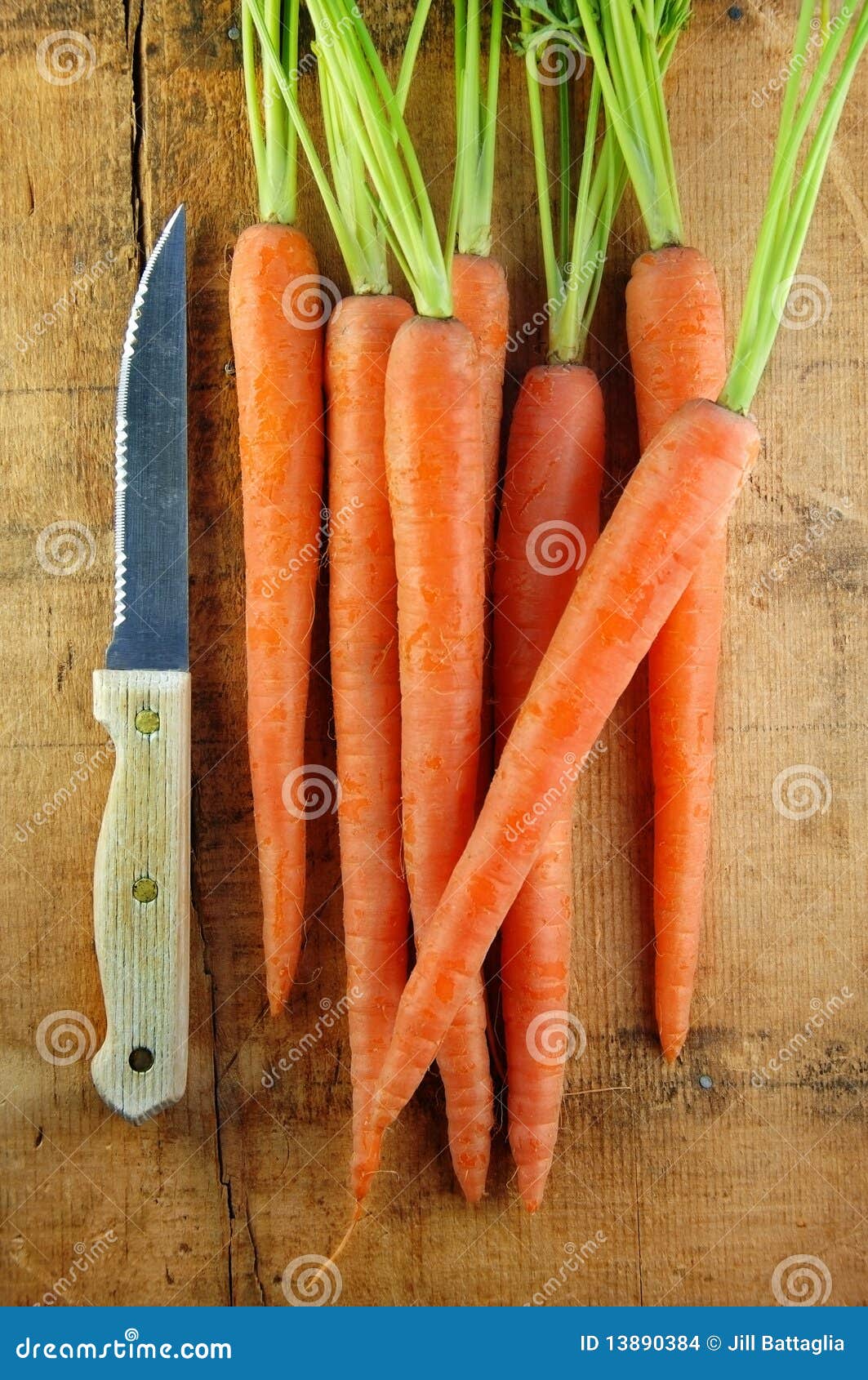 Carrots and Knife on Wood stock photo. Image of tops - 13890384