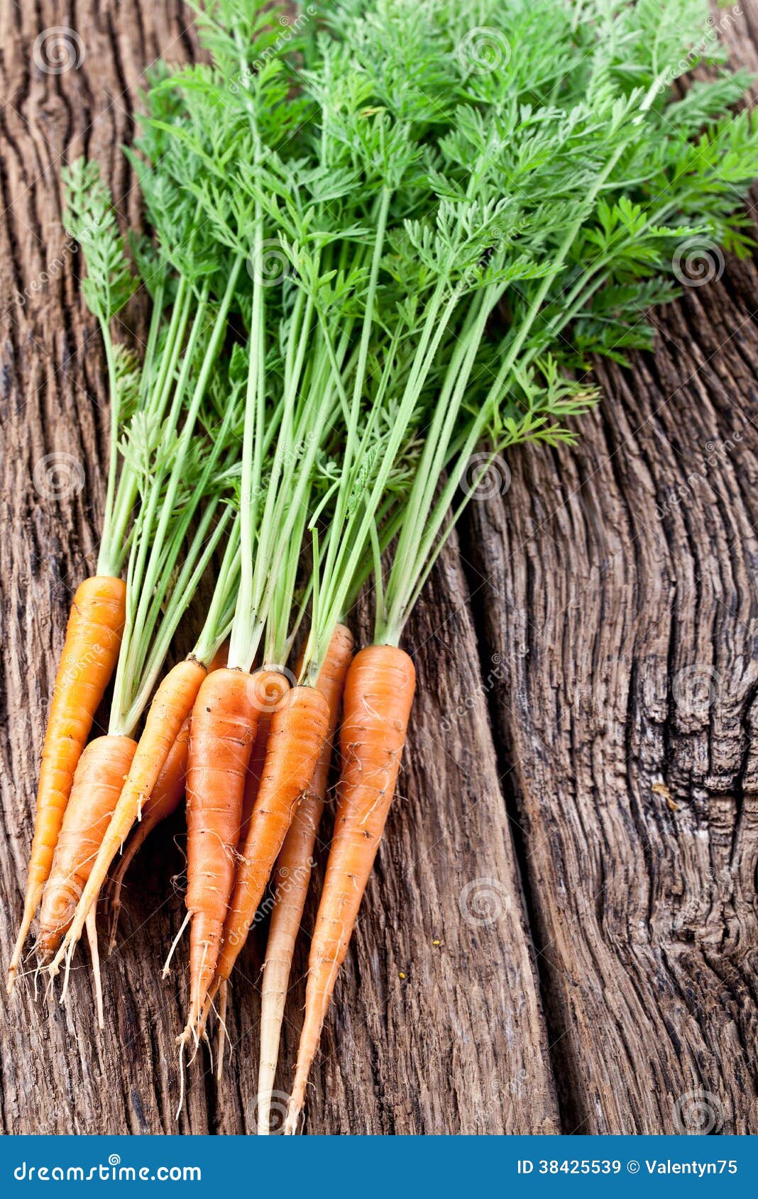 Carrots with leaves stock image. Image of carrot, vitamin - 38425539