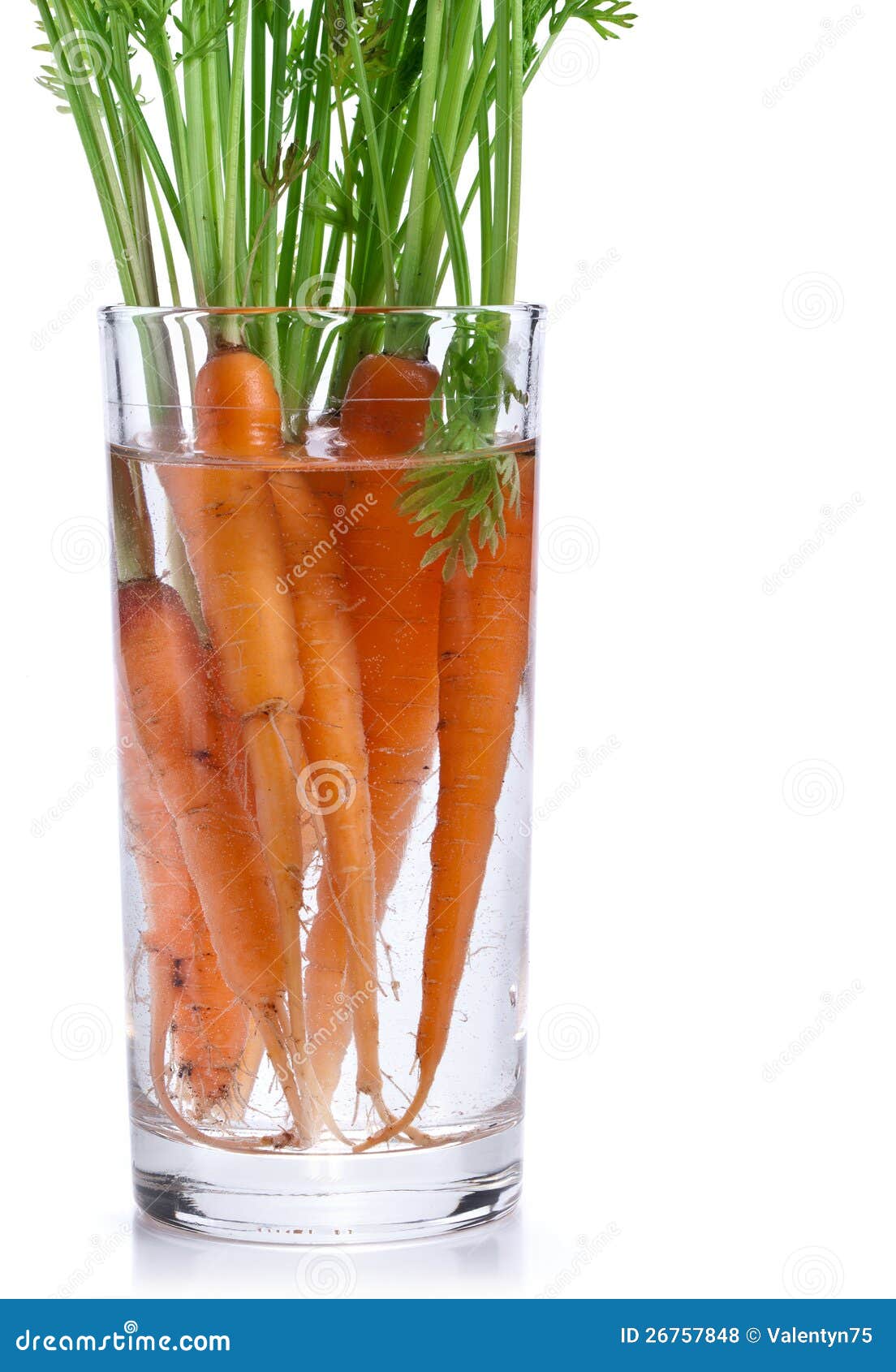 Carrots with Leaves Standing in a Glass of Water. Stock Photo - Image ...