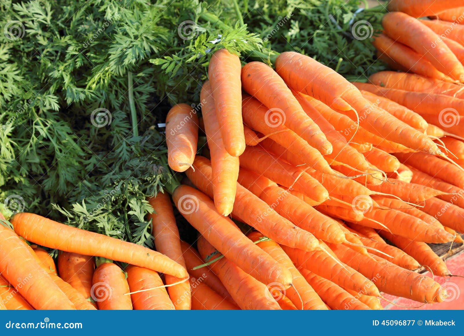 Carrots stock image. Image of roots, carrots, eating - 45096877