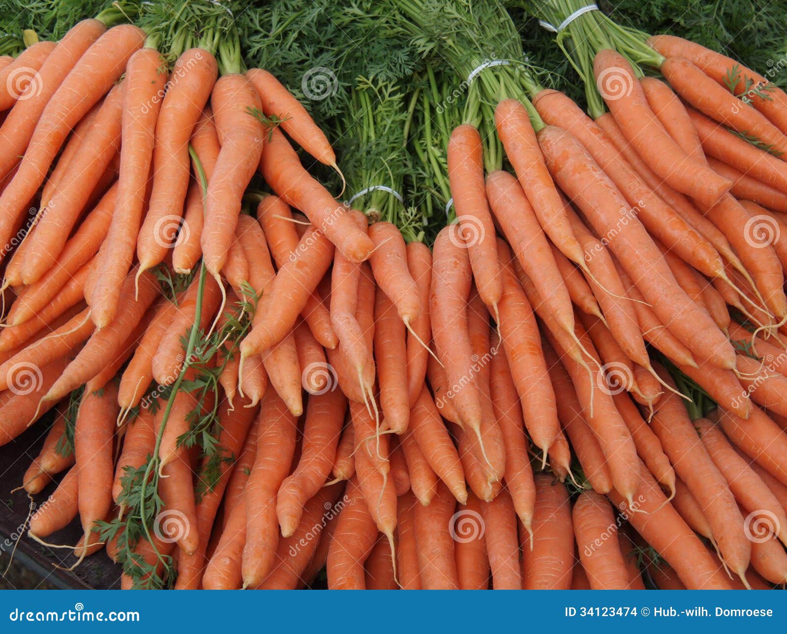 Carrots stock photo. Image of veggie, healthy, root, cook - 34123474