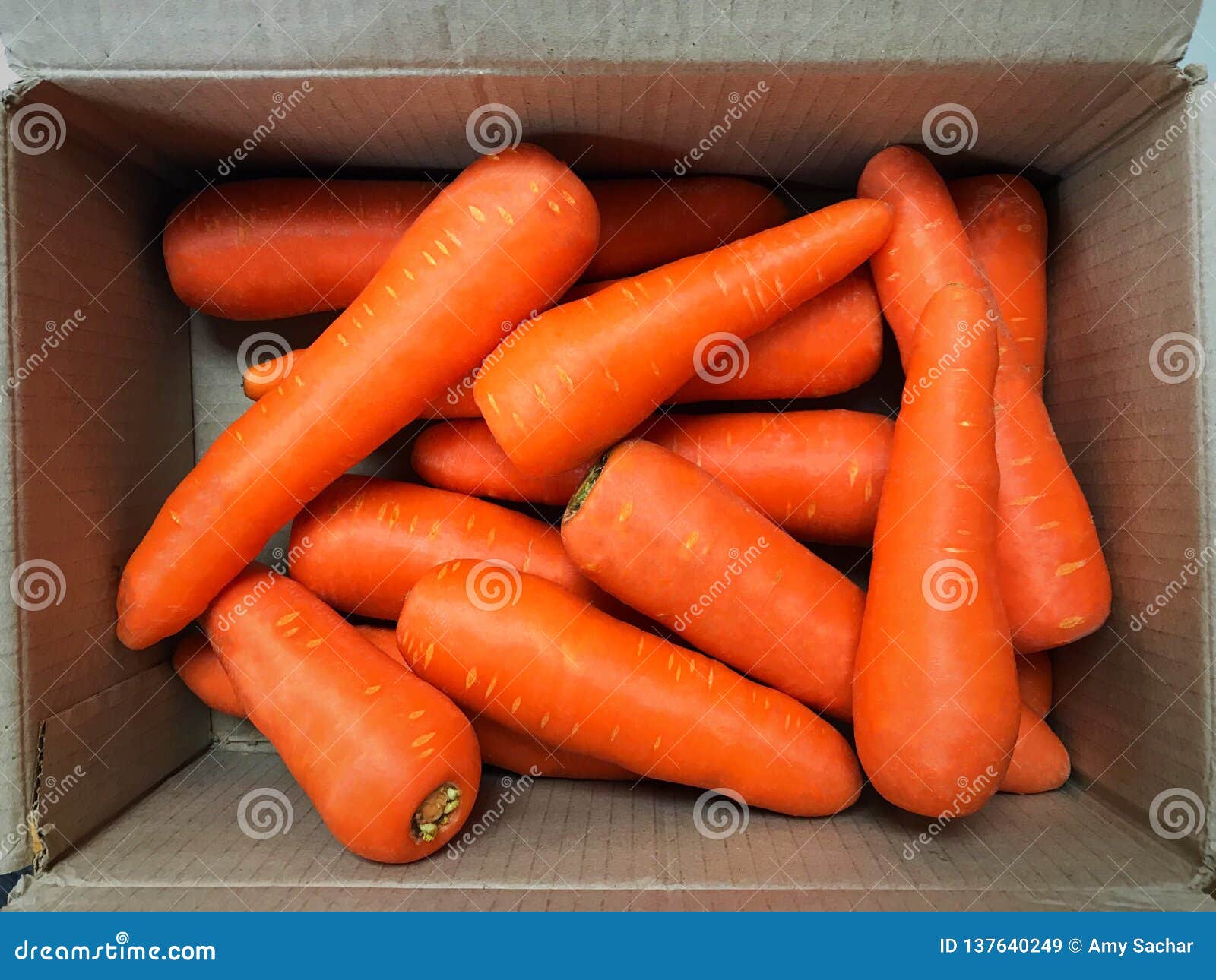 Carrots in Paper Container Box Stock Image - Image of vegetable, view ...