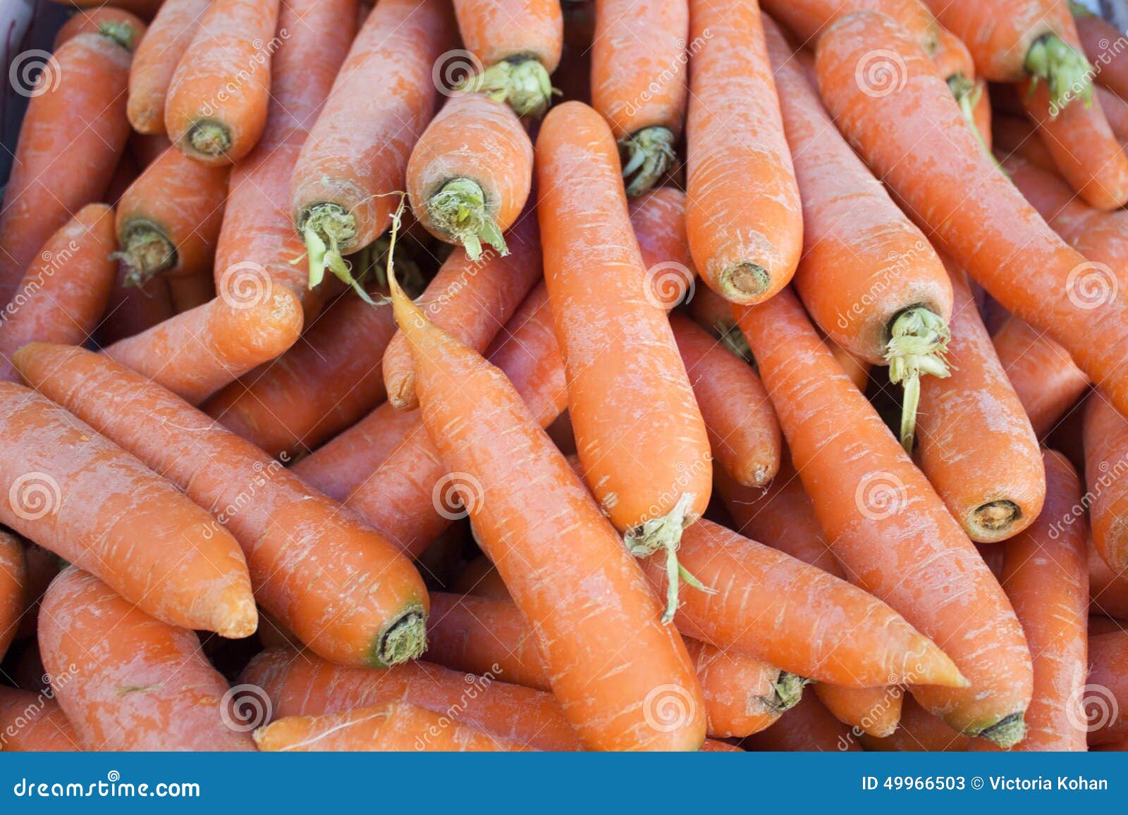 Carrots stock image. Image of eating, dinner, shows, hungry - 49966503