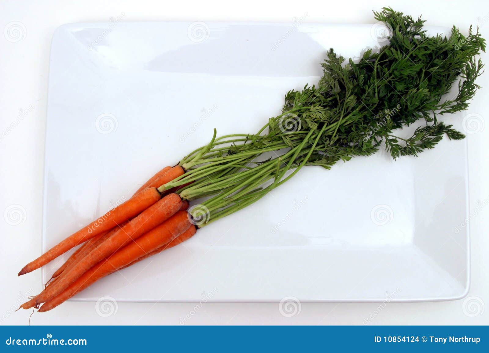 Carrots on plate stock photo. Image of diet, orange, farm - 10854124