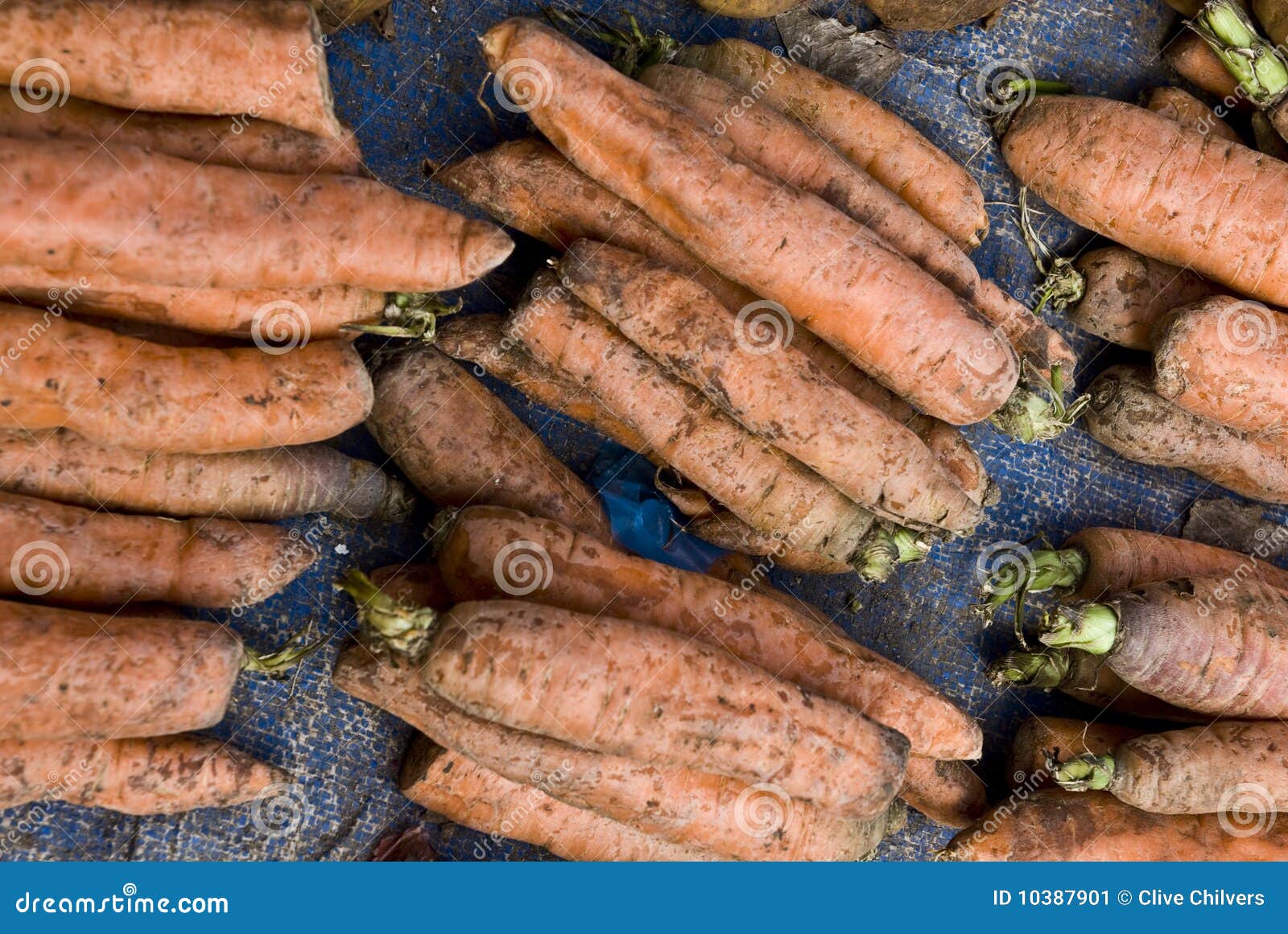 Carrots for Sale in a Market Stock Image - Image of vegetable, plant ...