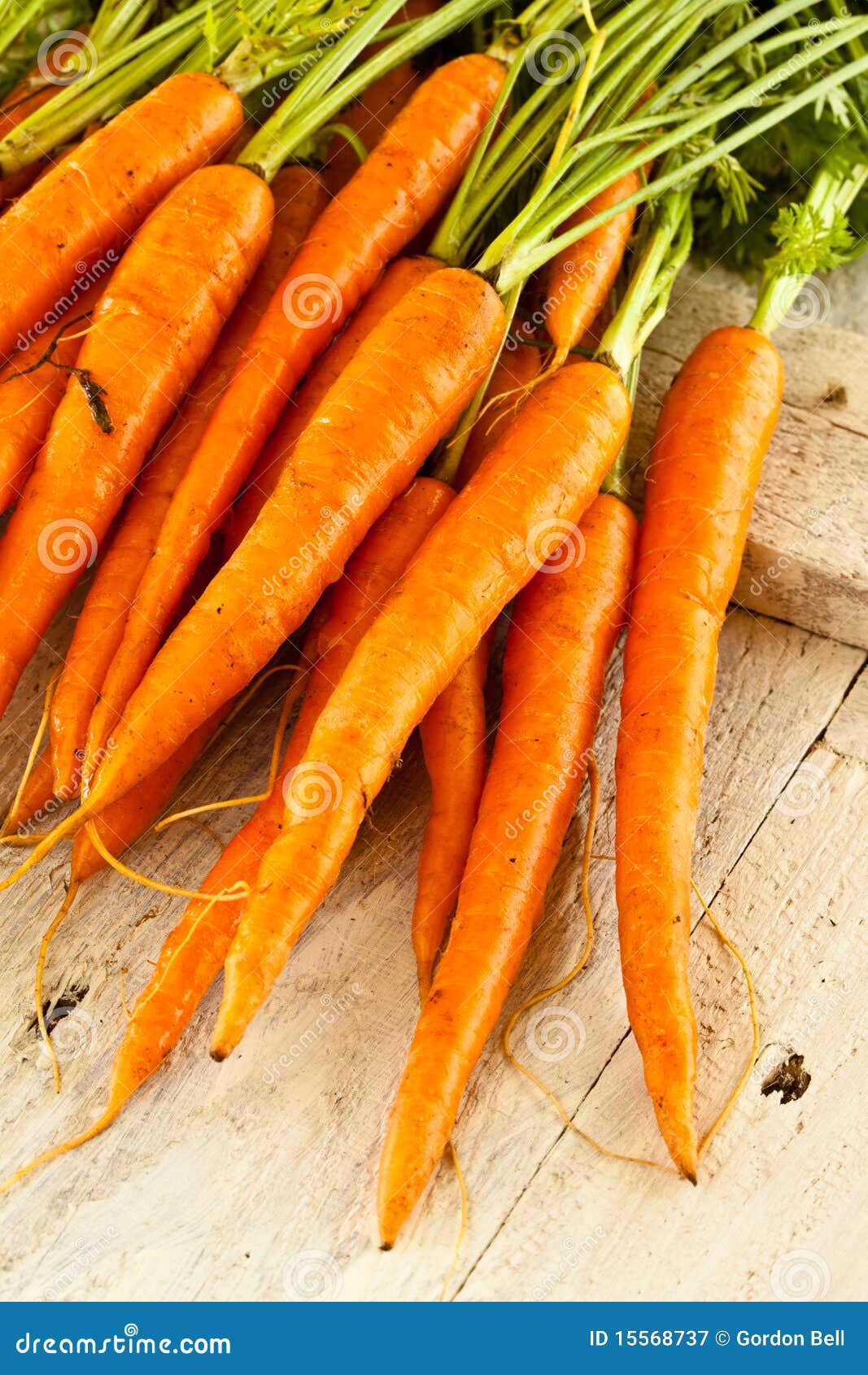Carrots Straight from the Ground Stock Image - Image of carotene ...