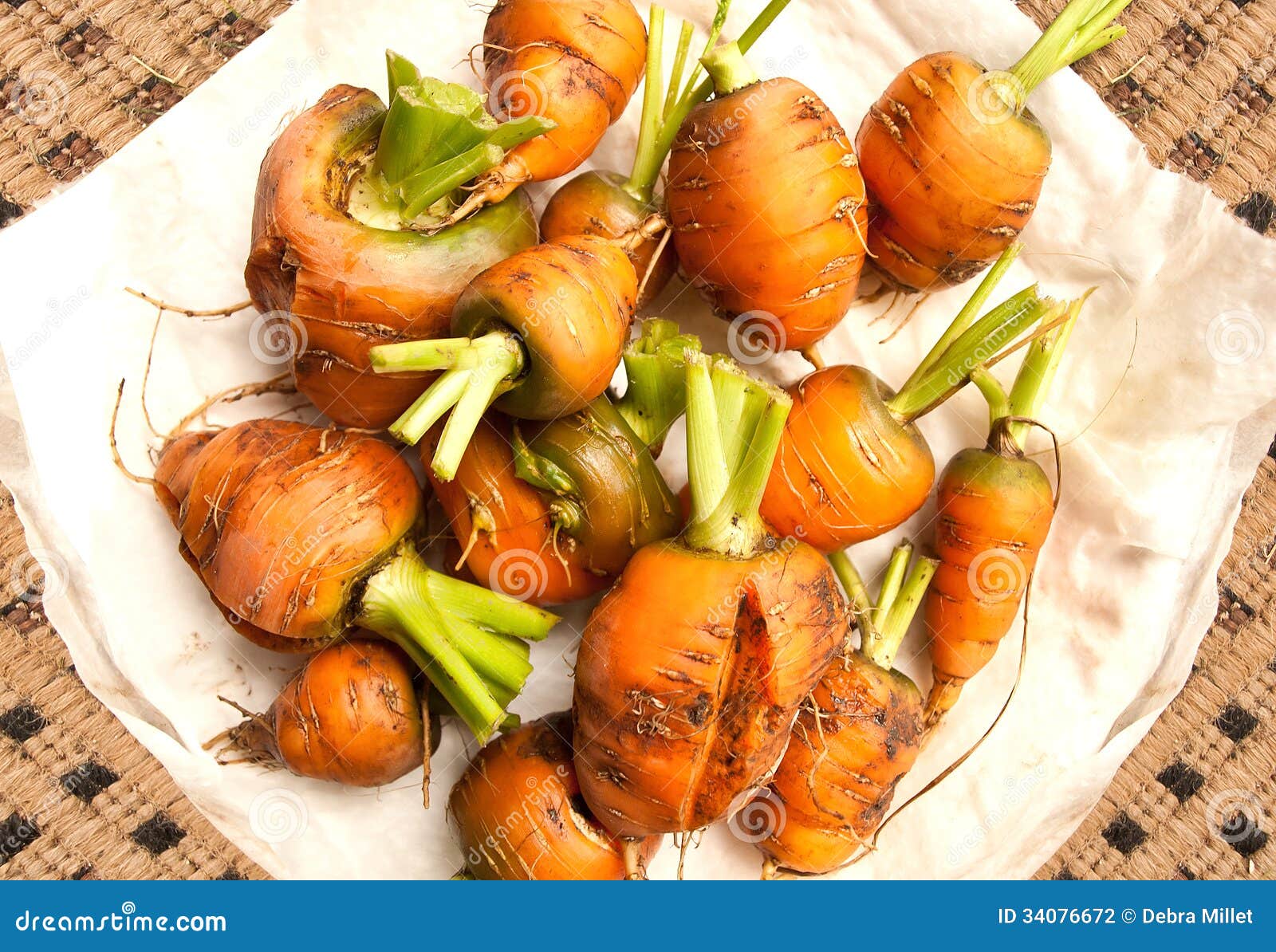 Carrots Straight from the Ground Stock Photo - Image of stems ...