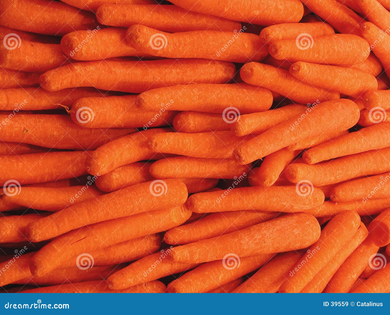 Carrots texture stock image. Image of dinner, abstract, guides - 39559