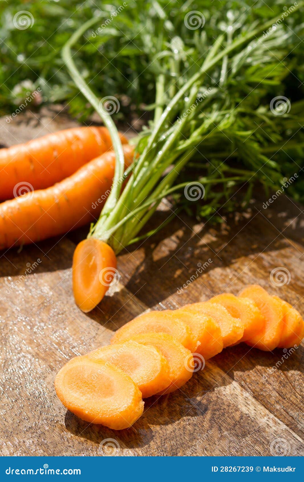 Carrots washing stock image. Image of food, farm, hands - 28267239