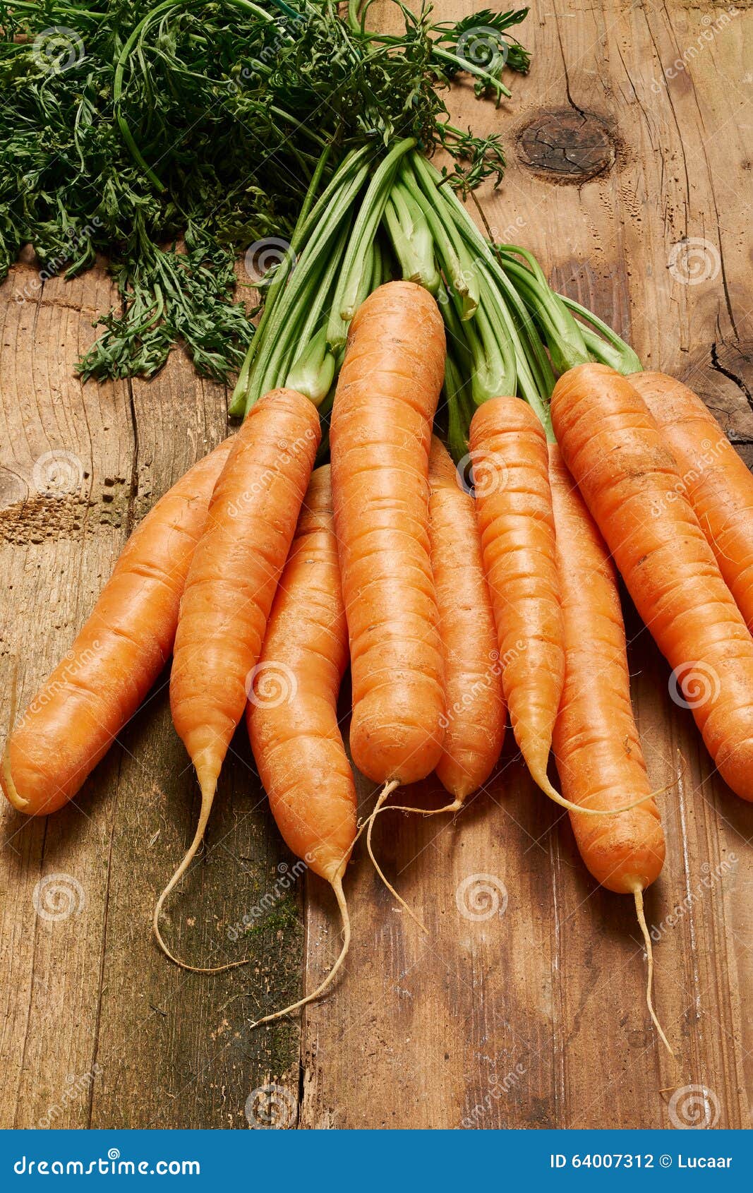 Carrots on a wooden table stock photo. Image of table - 64007312