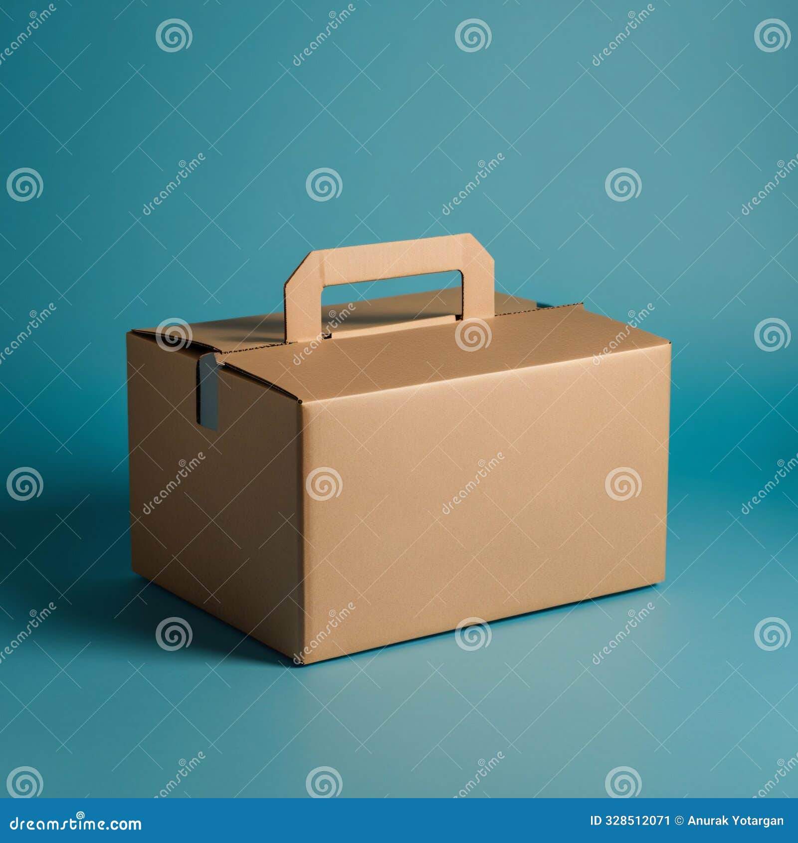 Carry Boxes with Handle Isolated on Background, Front and Side View ...