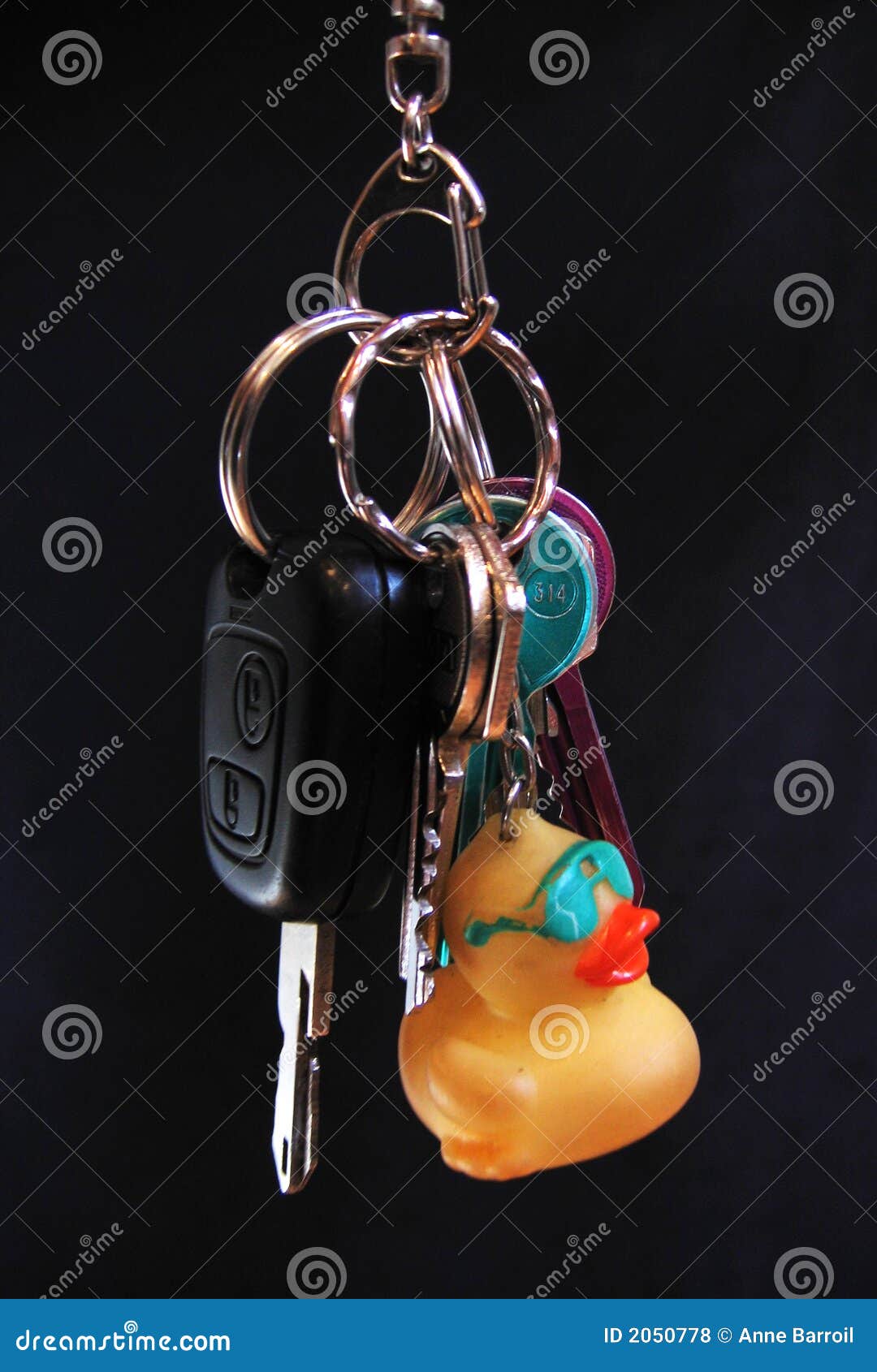 Carry-key Picture. Image: 2050778