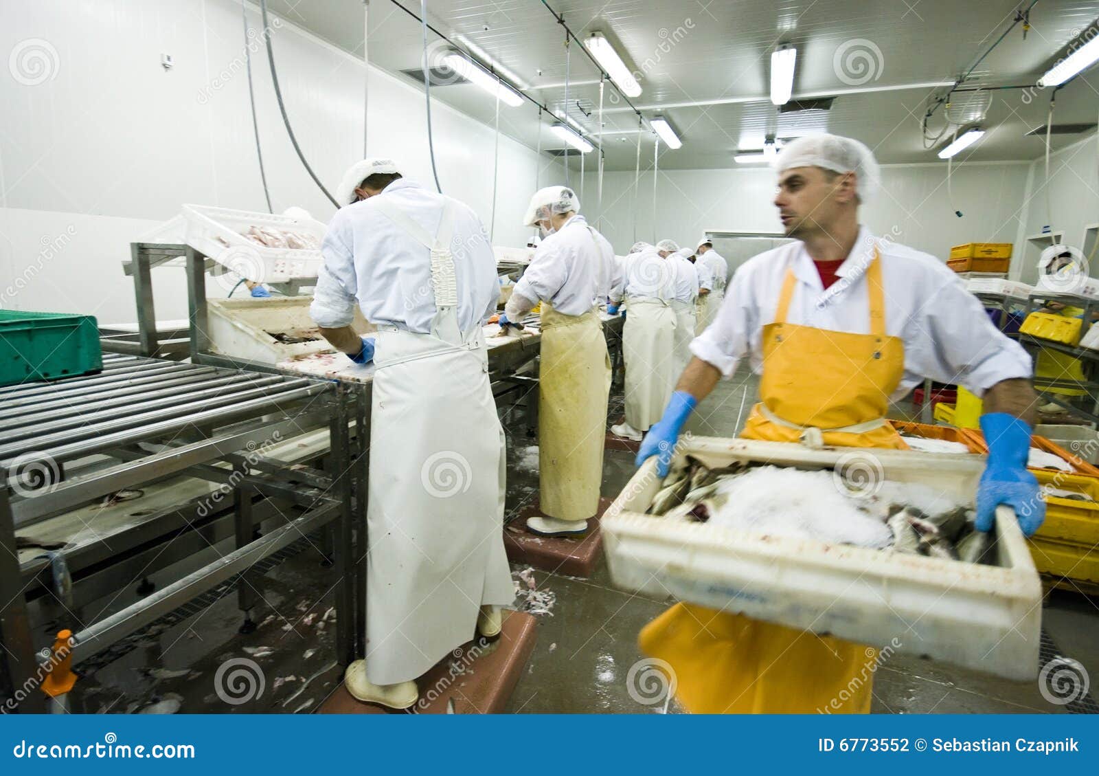 Carrying box of fish stock photo. Image of physical, motion - 6773552