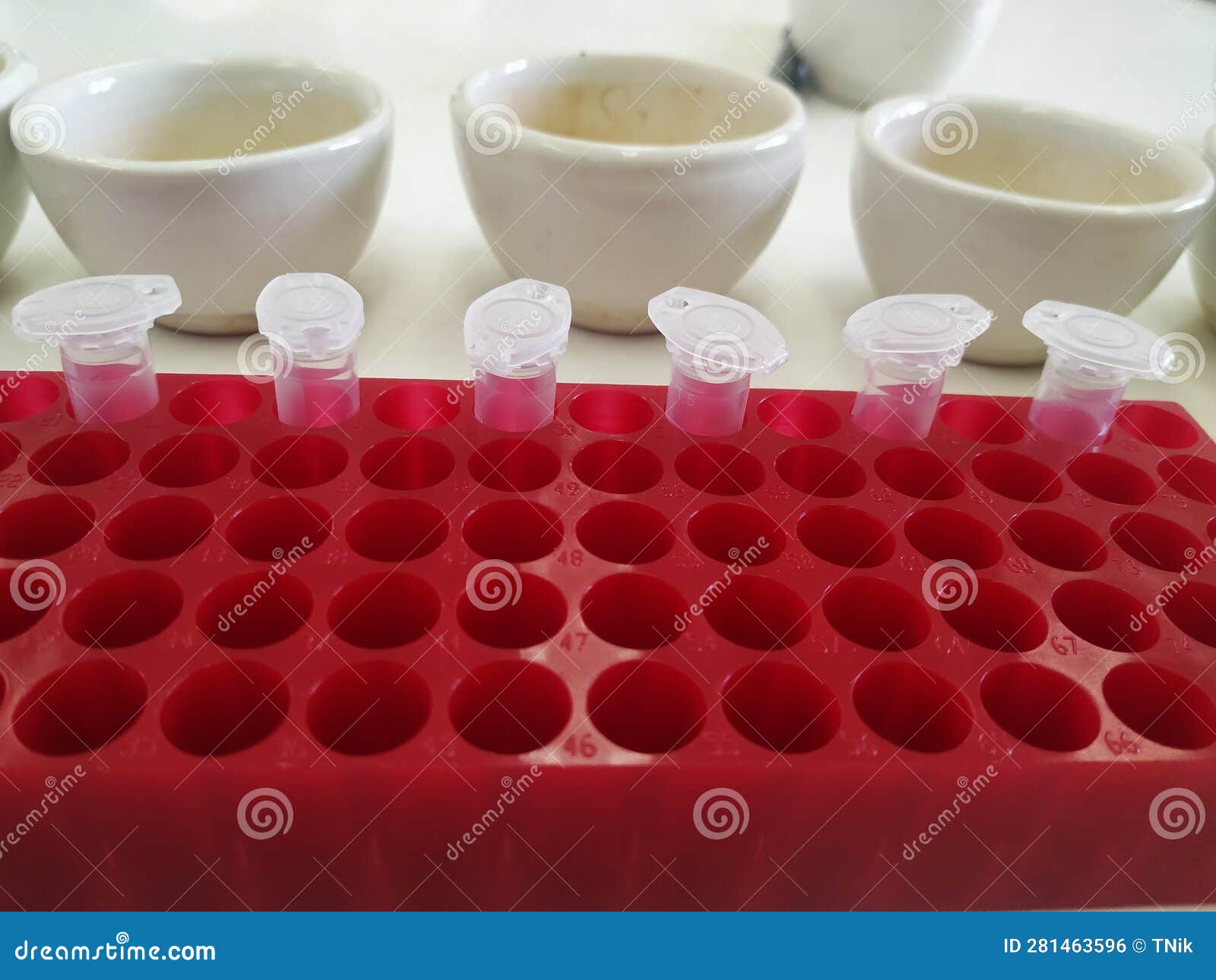 Carrying Out Analyzes in the Laboratory, Mortars and Pestles and ...