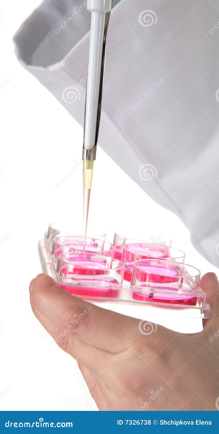Carrying Out of Laboratory Research Stock Photo - Image of chemistry ...
