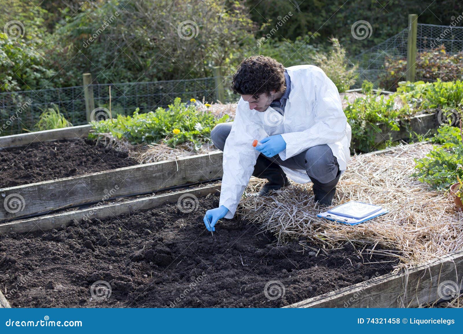 Carrying Out a Soil Analysis Stock Photo - Image of digital, caucasian ...