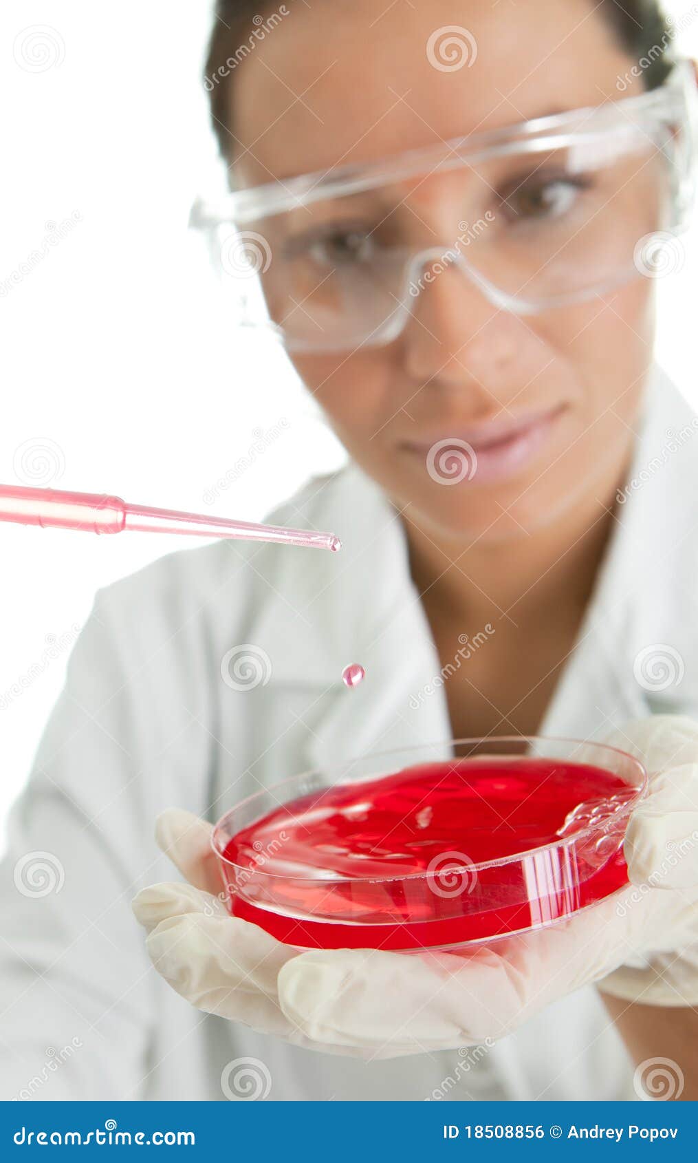 Carrying Out Test in Laboratory Stock Photo - Image of medical, liquid ...