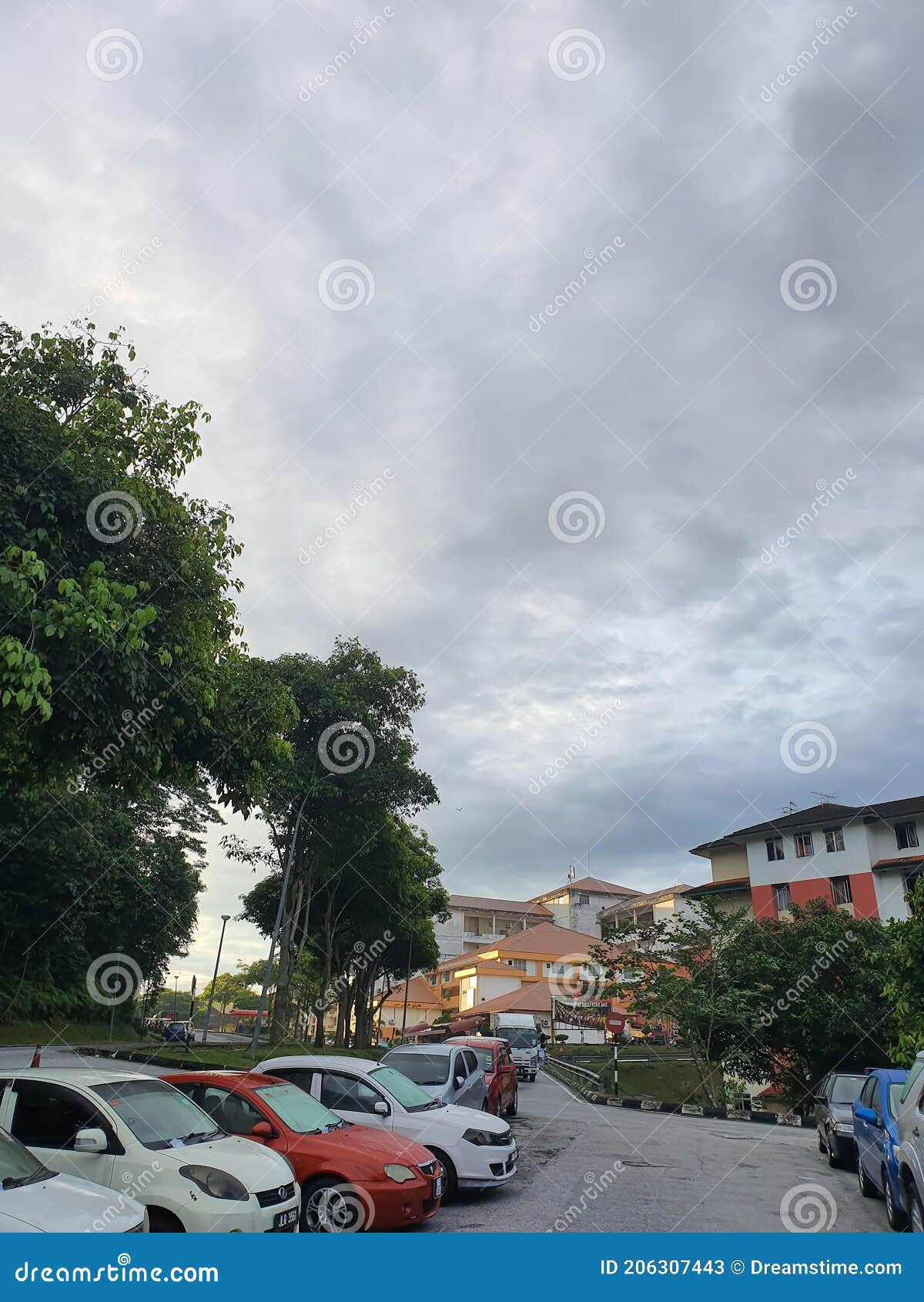 Cars Building University Trees Editorial Stock Photo - Image of trees ...