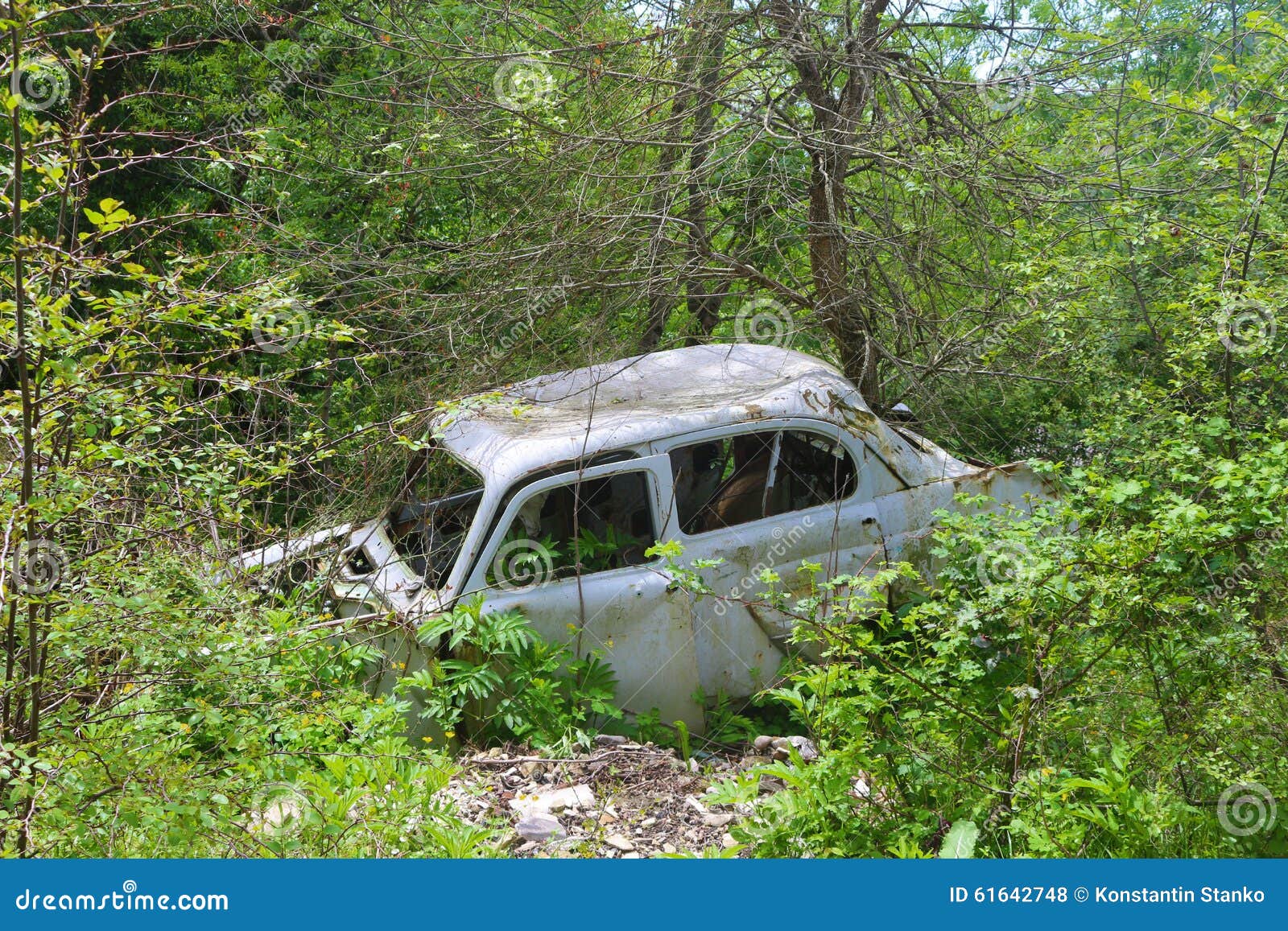 Cars in the bush stock photo. Image of rust, autumn, junk - 61642748