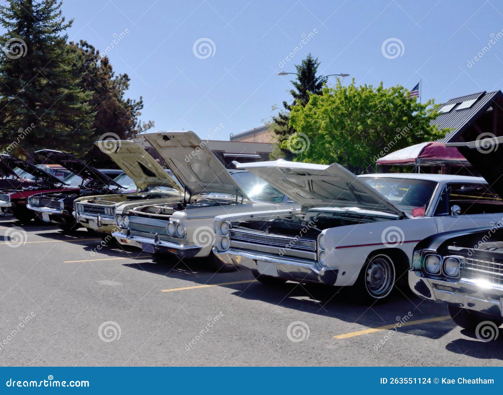 Cars on Display at Summer Car Show Stock Photo - Image of cars, hoods ...
