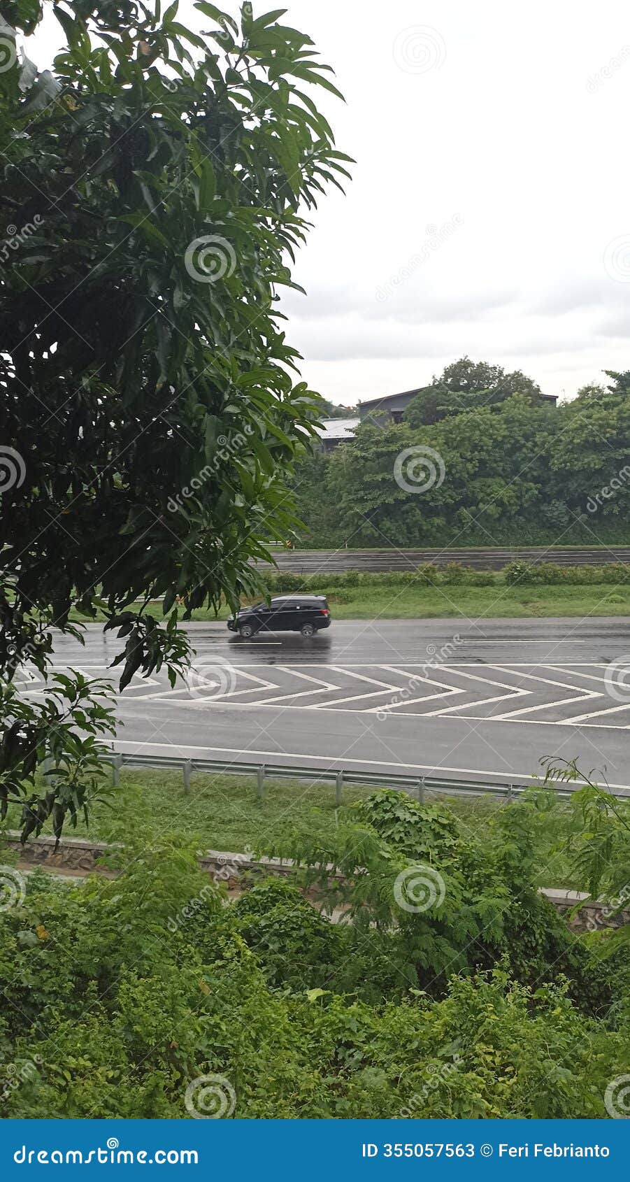 Cars that Go Fast on the Freeway Stock Image - Image of cars, freeway ...