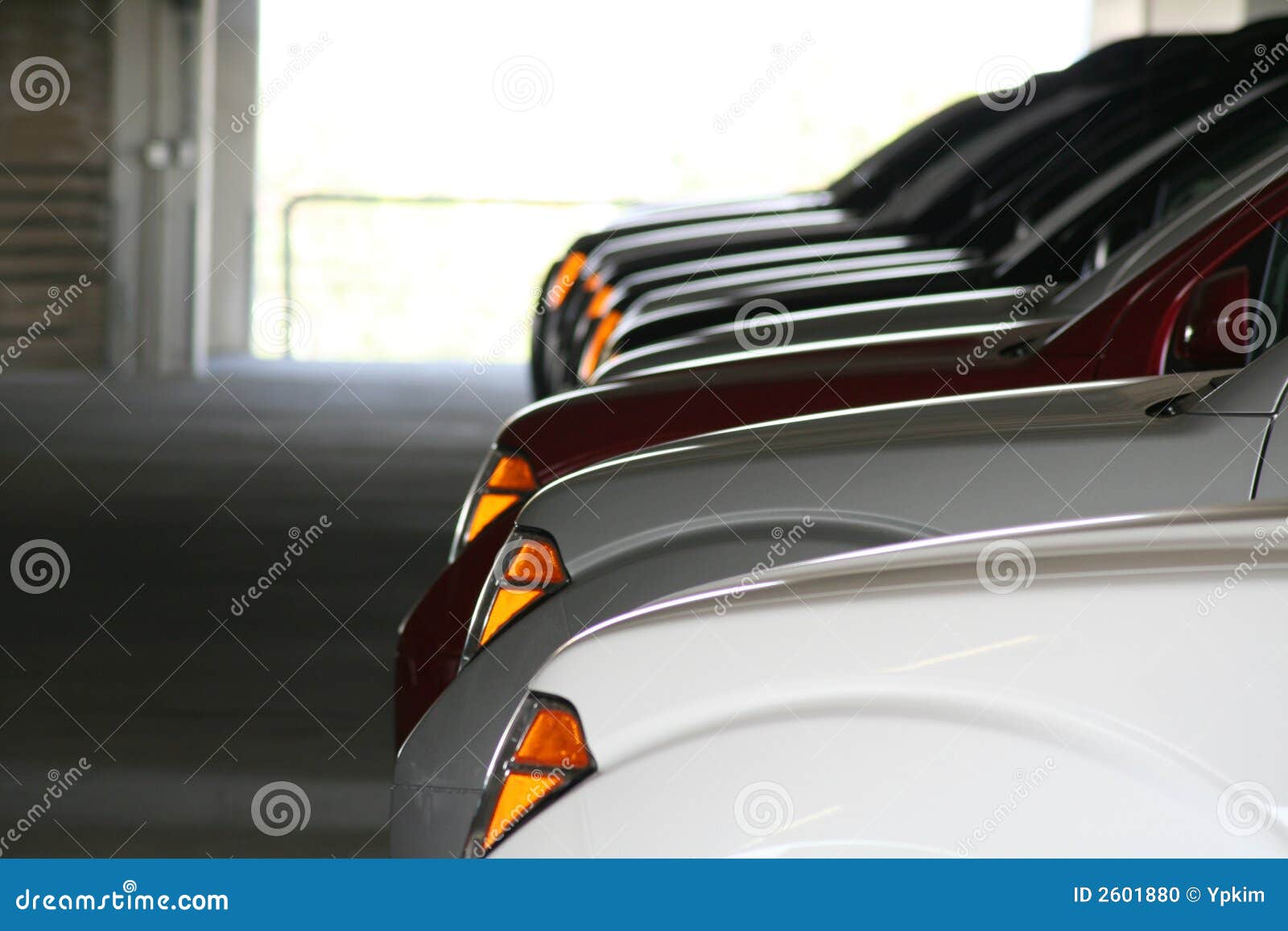 Cars lined up stock photo. Image of dealer, hood, lined - 2601880