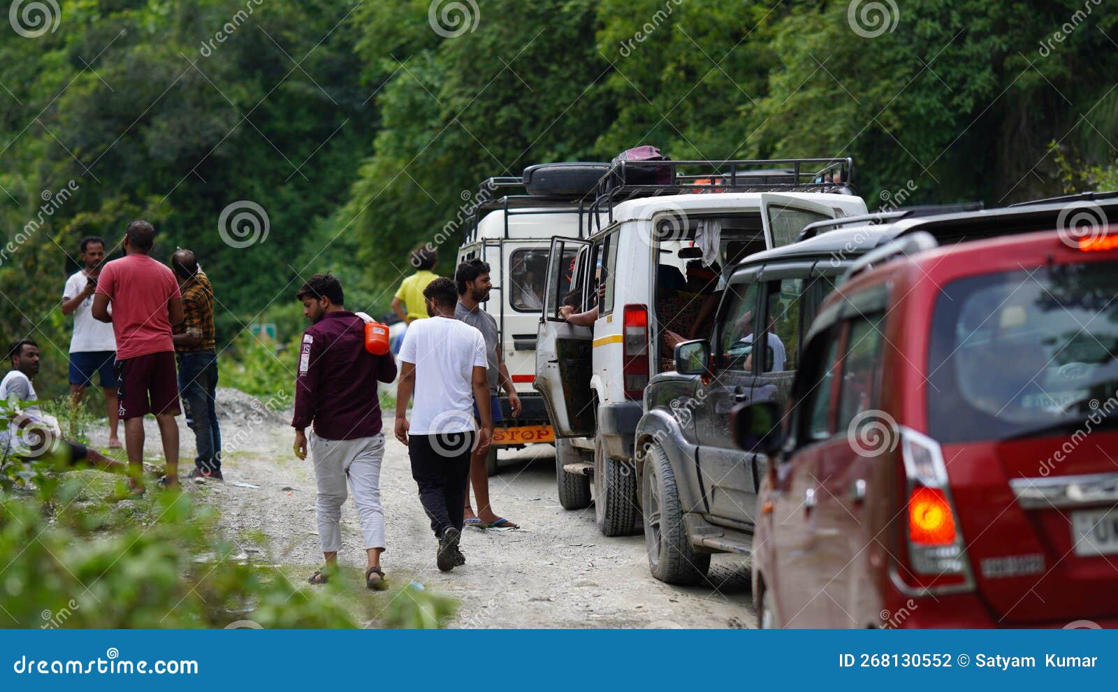 stock photo. Image of rail, isolated, fresh, organic - 268130552