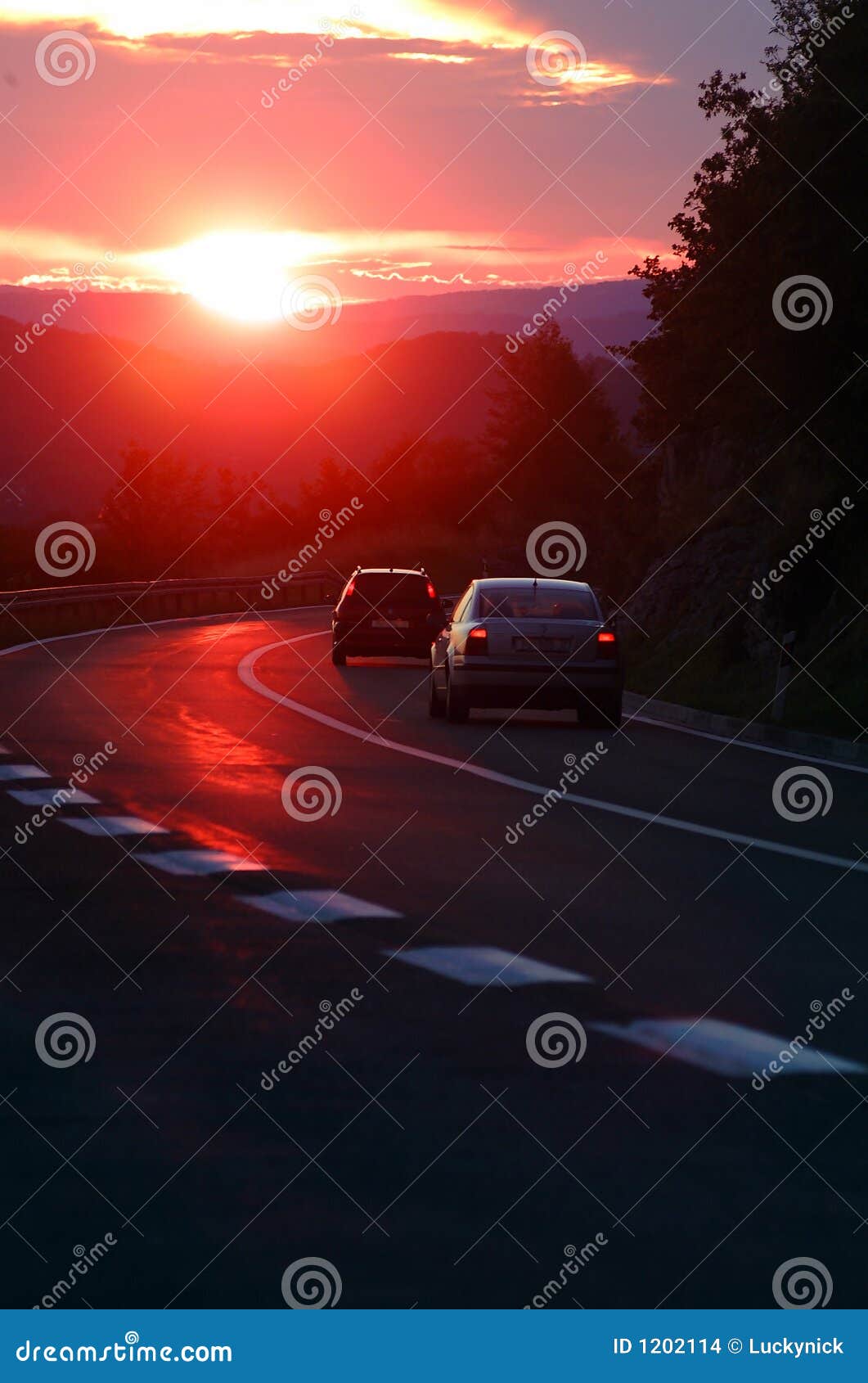 Cars in sunset stock photo. Image of drive, tree, roads - 1202114
