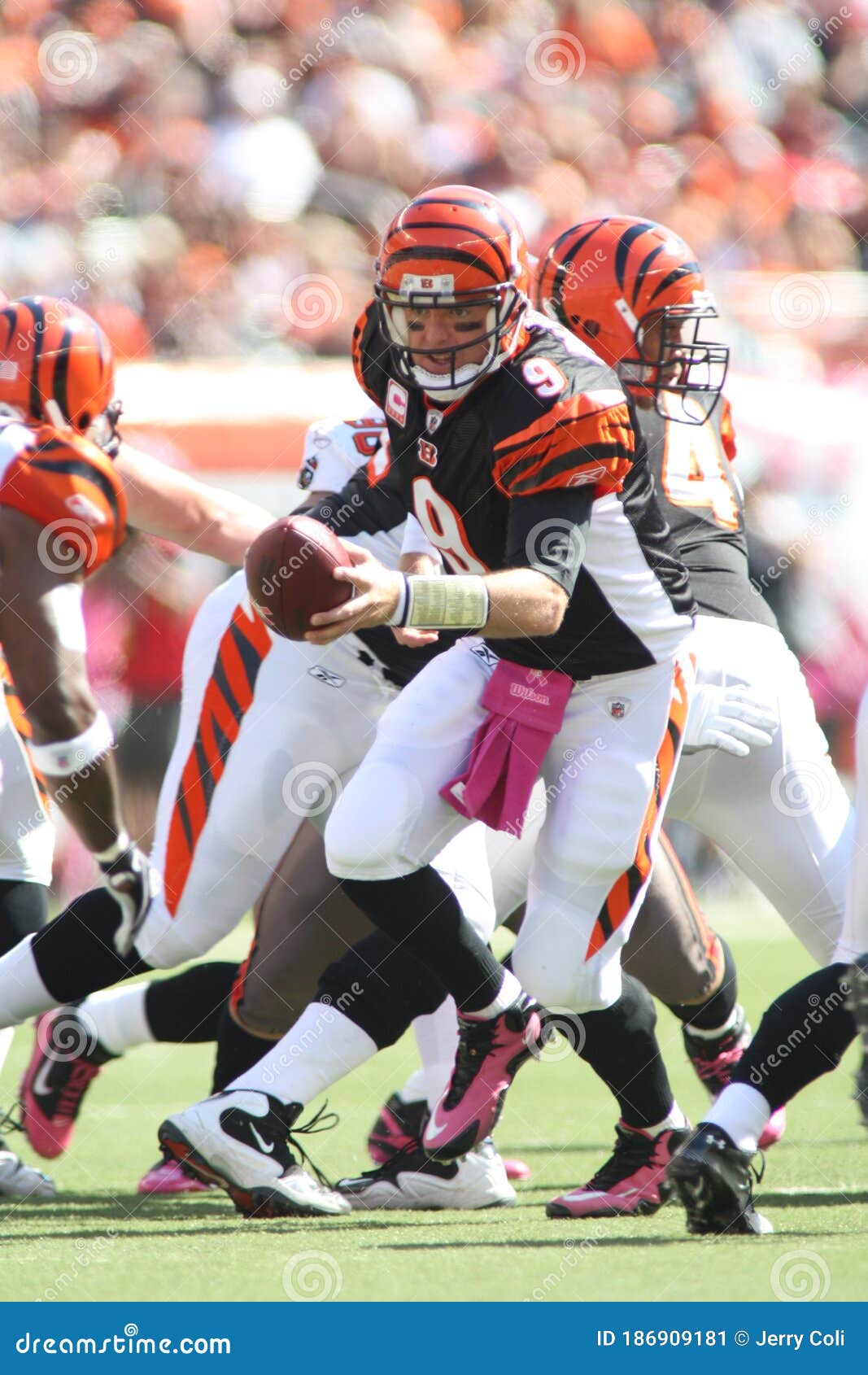 Carson Palmer editorial photo. Image of carson, cincinnati - 186909181