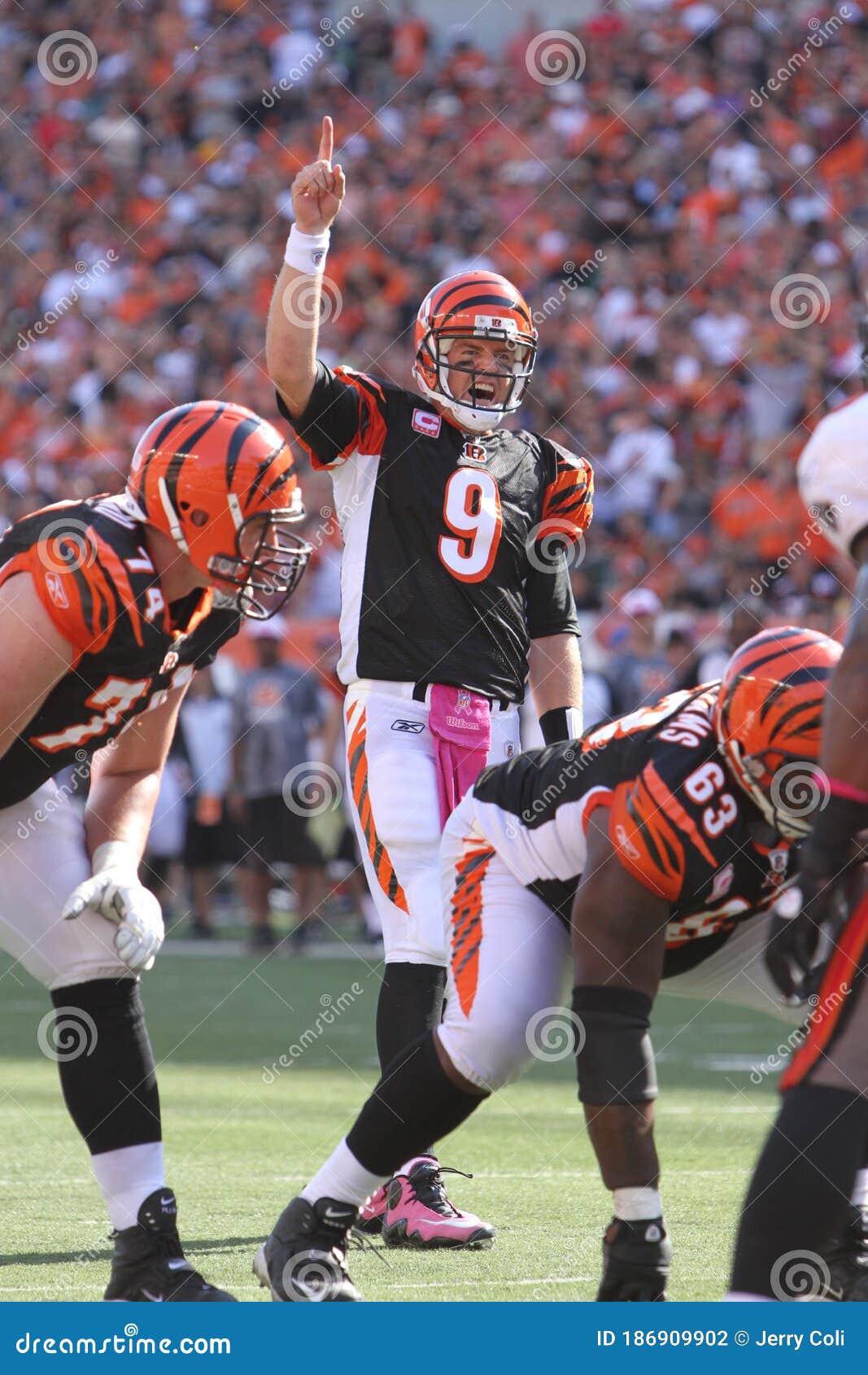 Carson Palmer editorial photography. Image of national - 186909902