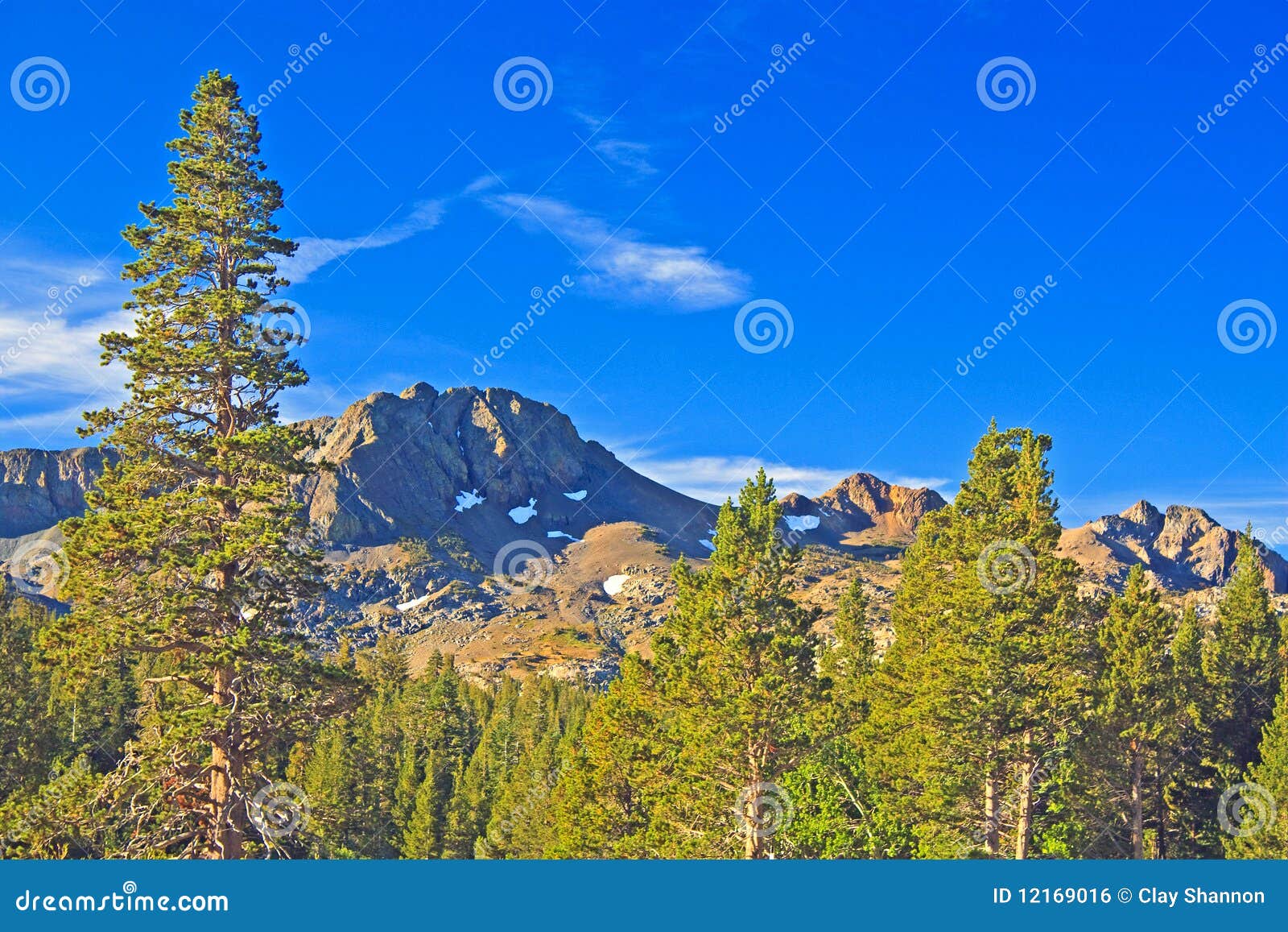 Carson Pass stock photo. Image of backpacking, trail - 12169016
