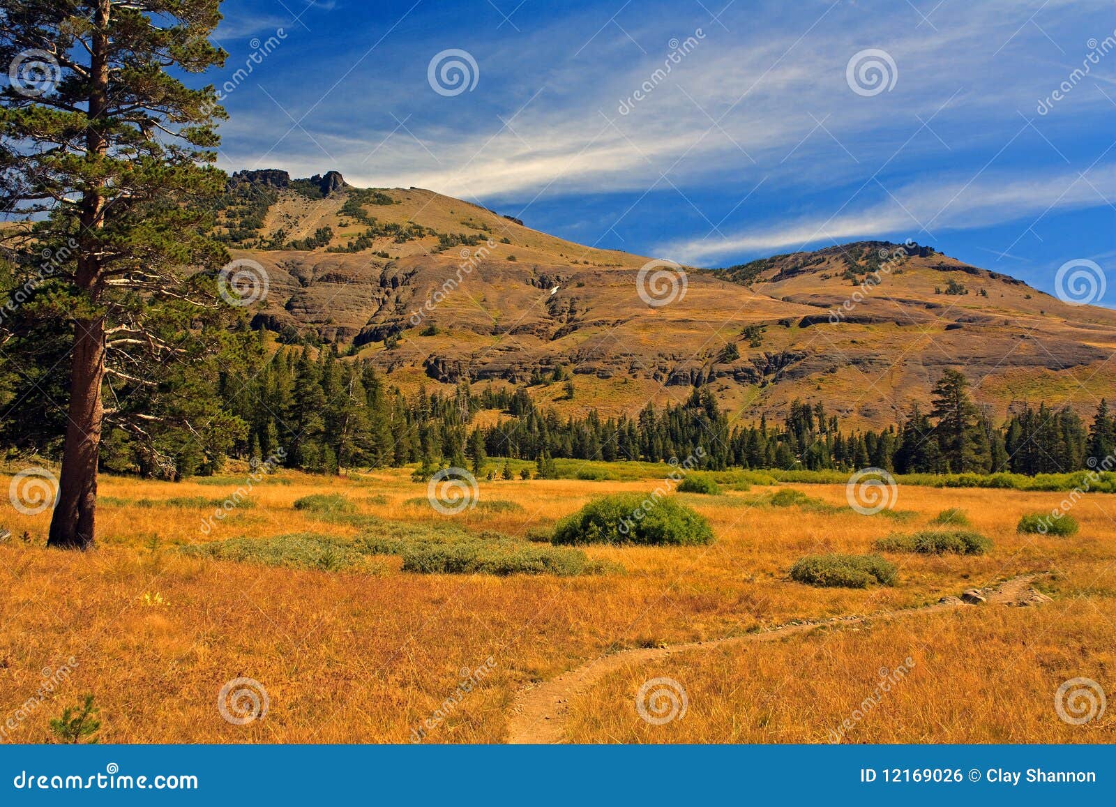Carson Pass stock photo. Image of backpacking, backpackers - 12169026