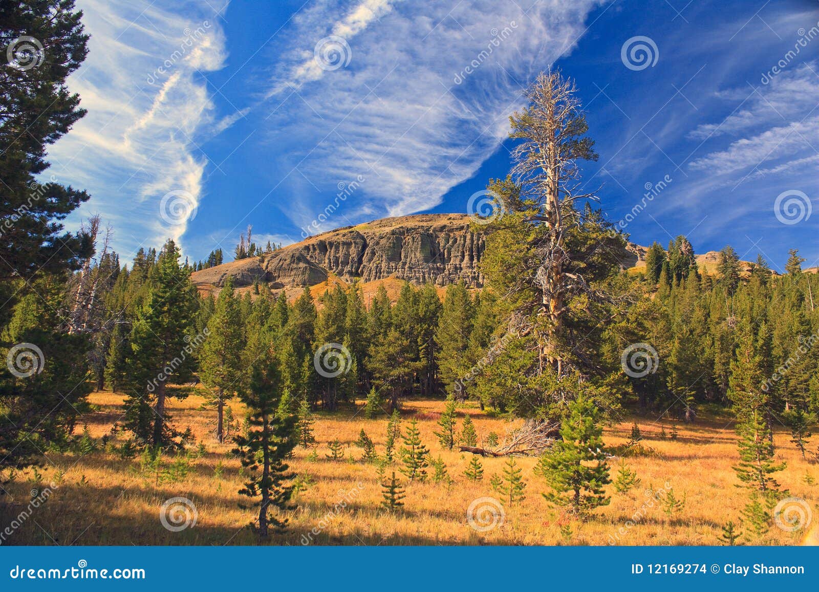 Carson Pass Rimrocks stock photo. Image of hiking, california - 12169274