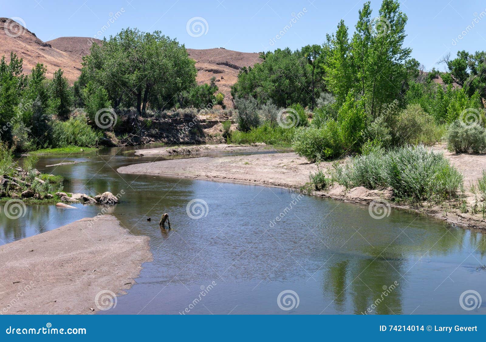 The Carson River stock photo. Image of carson, fields - 74214014