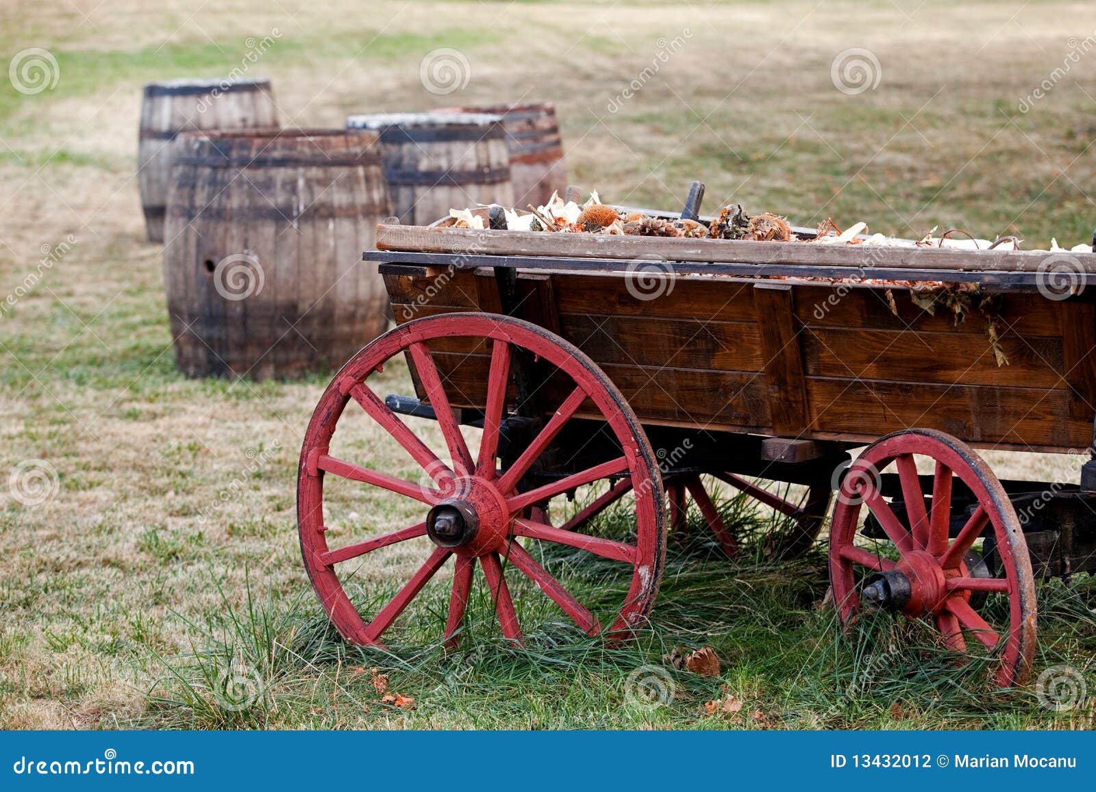 Cart stock photo. Image of grass, travel, transport, wood - 13432012