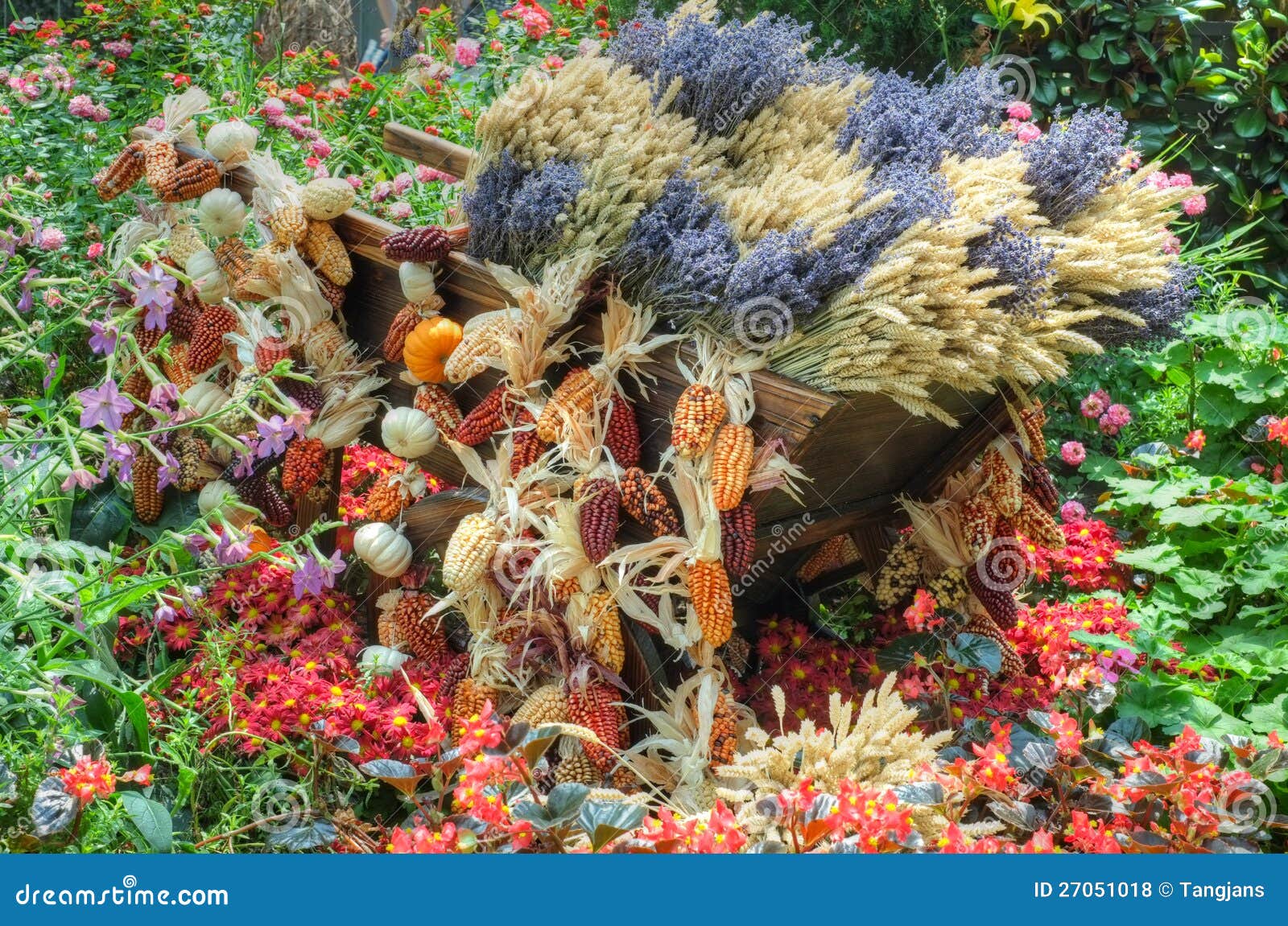Cart Filled Bountiful Autumn Harvest Stock Photo - Image of corn, cart ...