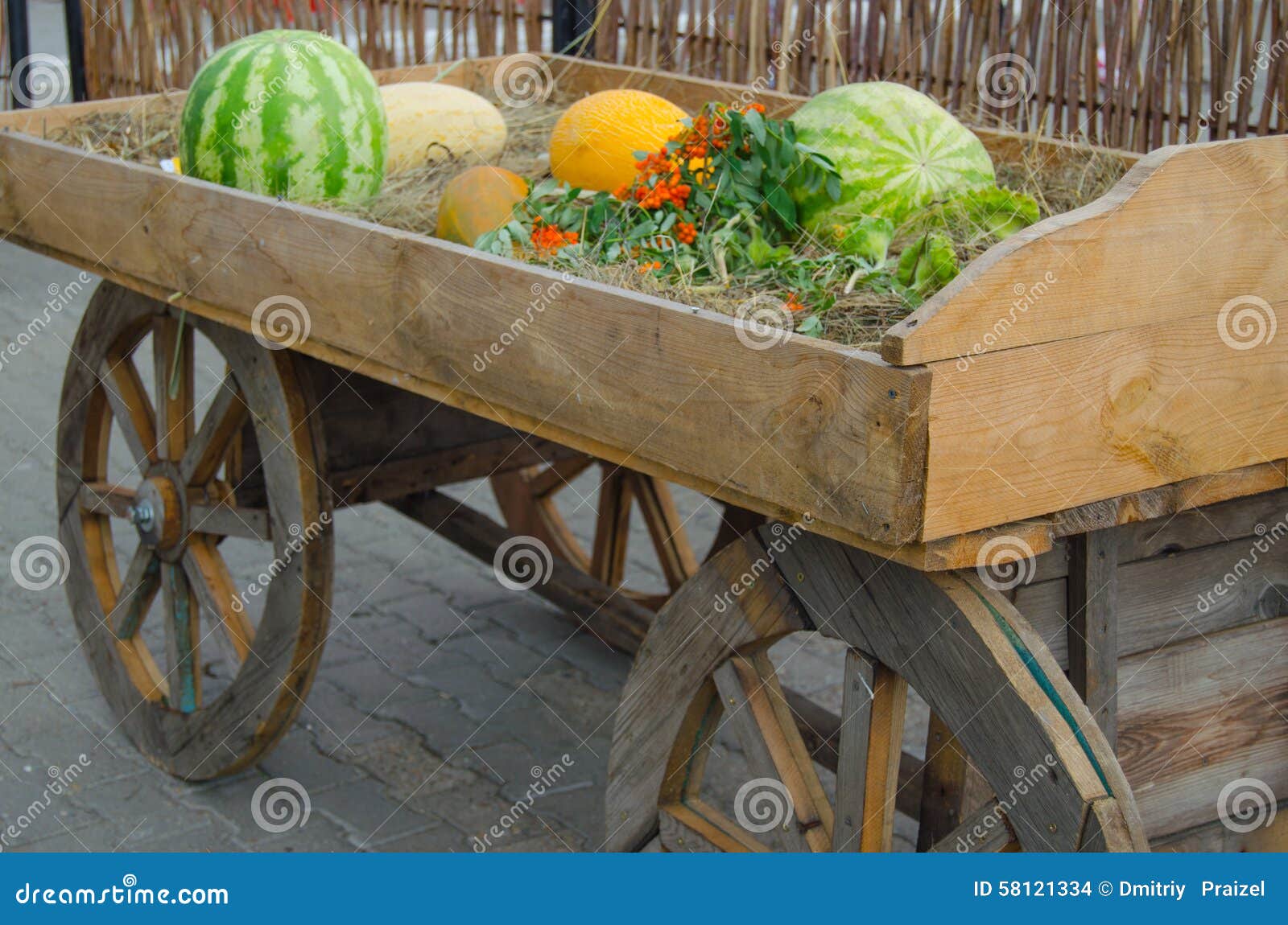 Cart stock photo. Image of village, vegetable, nutrition - 58121334
