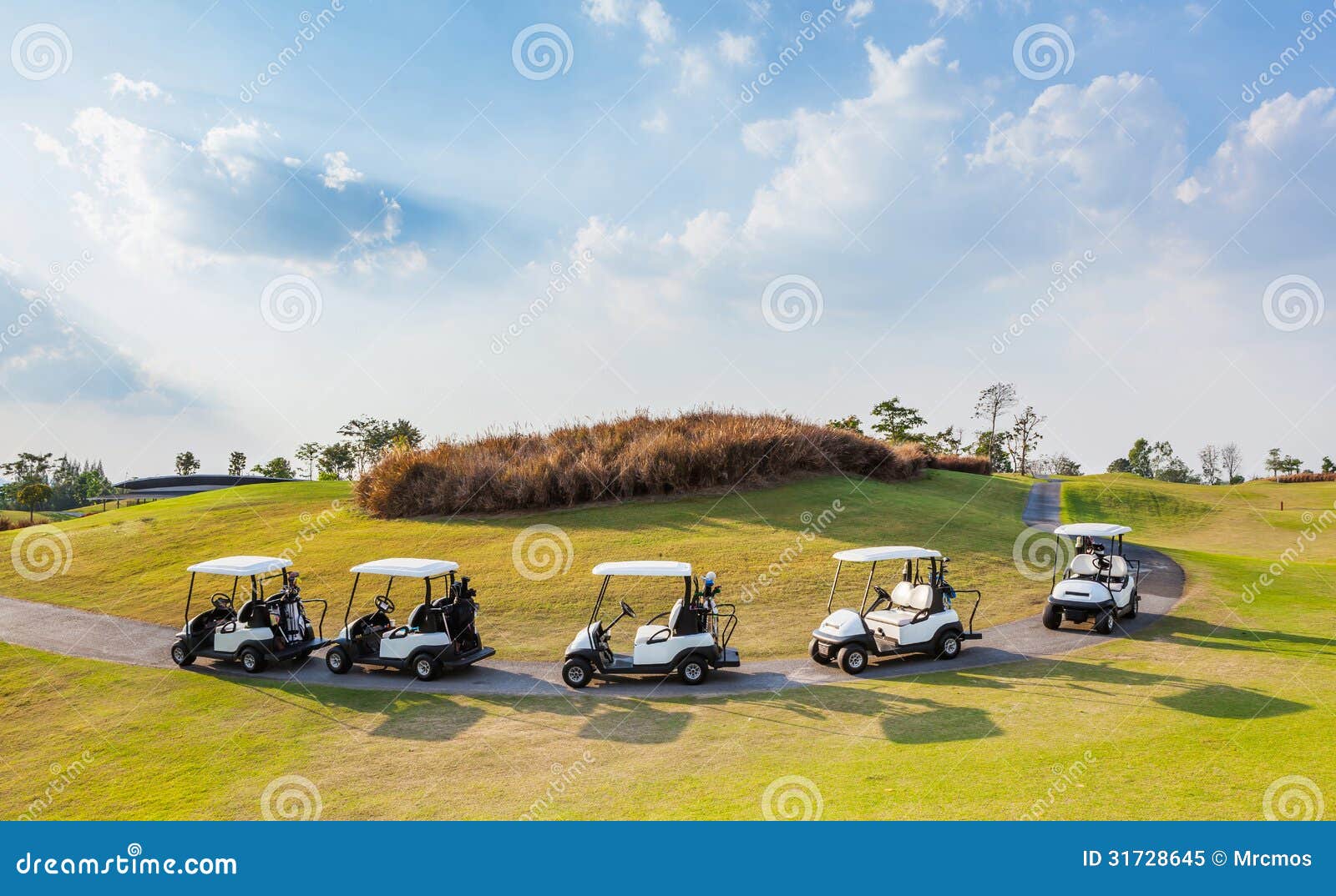 Cart in golf course stock image. Image of sport, summer - 31728645