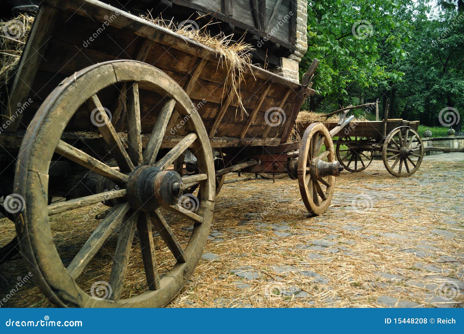 Cart with hay stock photo. Image of vehicle, agriculture - 15448208