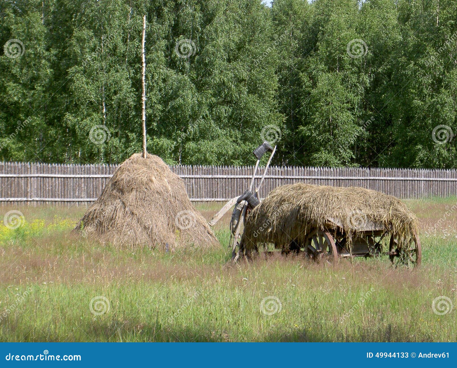 A Cart of Hay and Stack Hay Stock Image - Image of forest, nature: 49944133