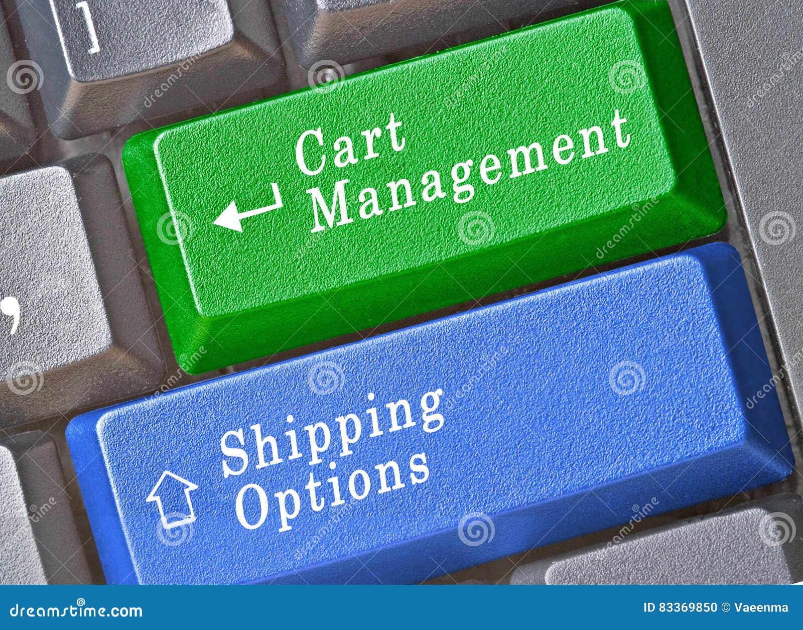 Cart Management and Shipping Options Stock Photo - Image of delivery ...