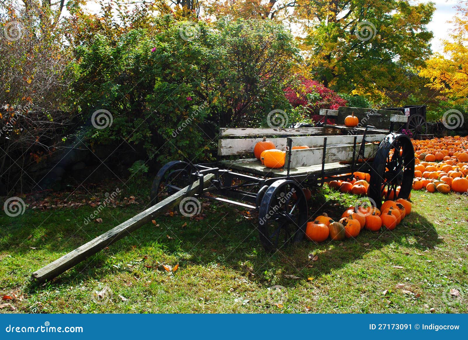 Cart of Pumpkins stock image. Image of vermont, autumn - 27173091