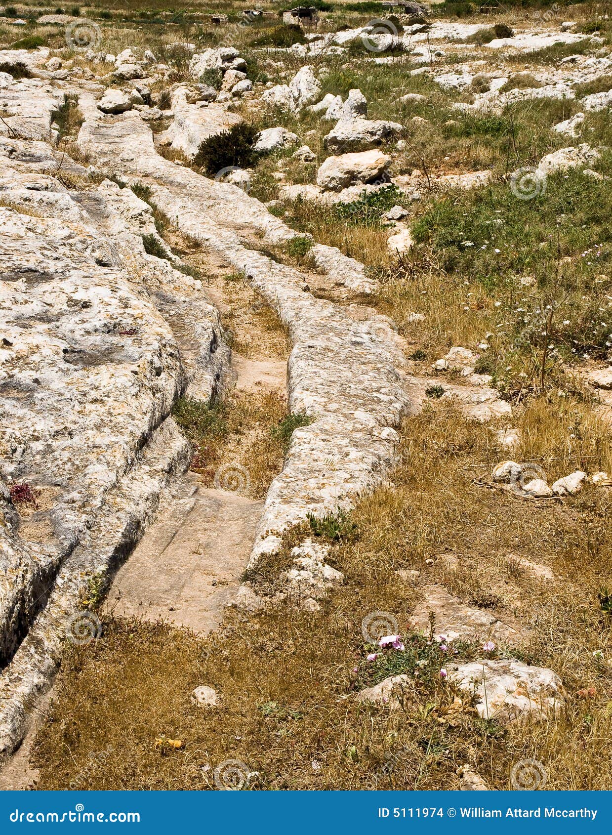 Cart Rut stock photo. Image of priceless, travel, malta - 5111974