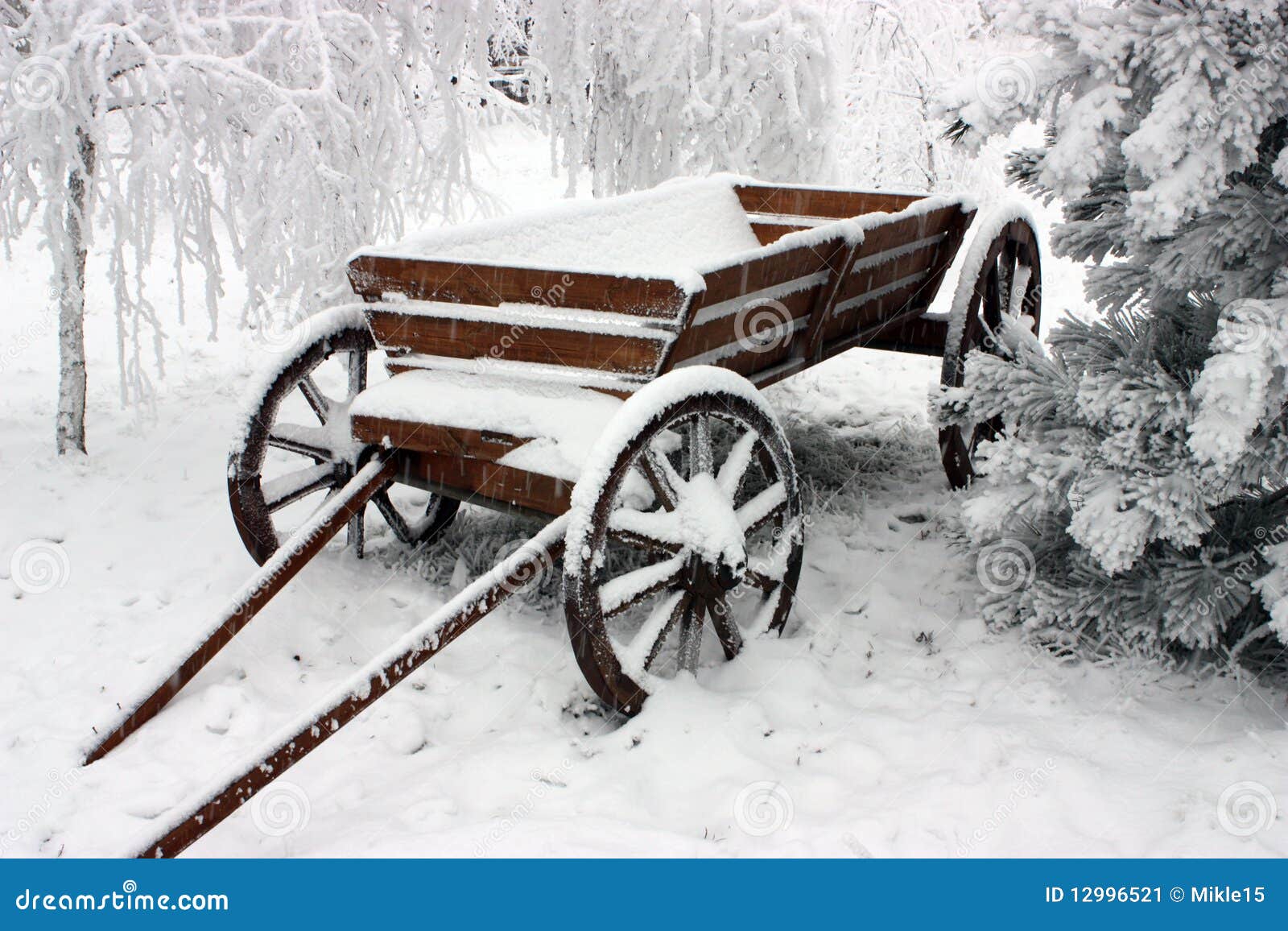 Cart in snow. stock image. Image of color, northern, pyatigorsk - 12996521