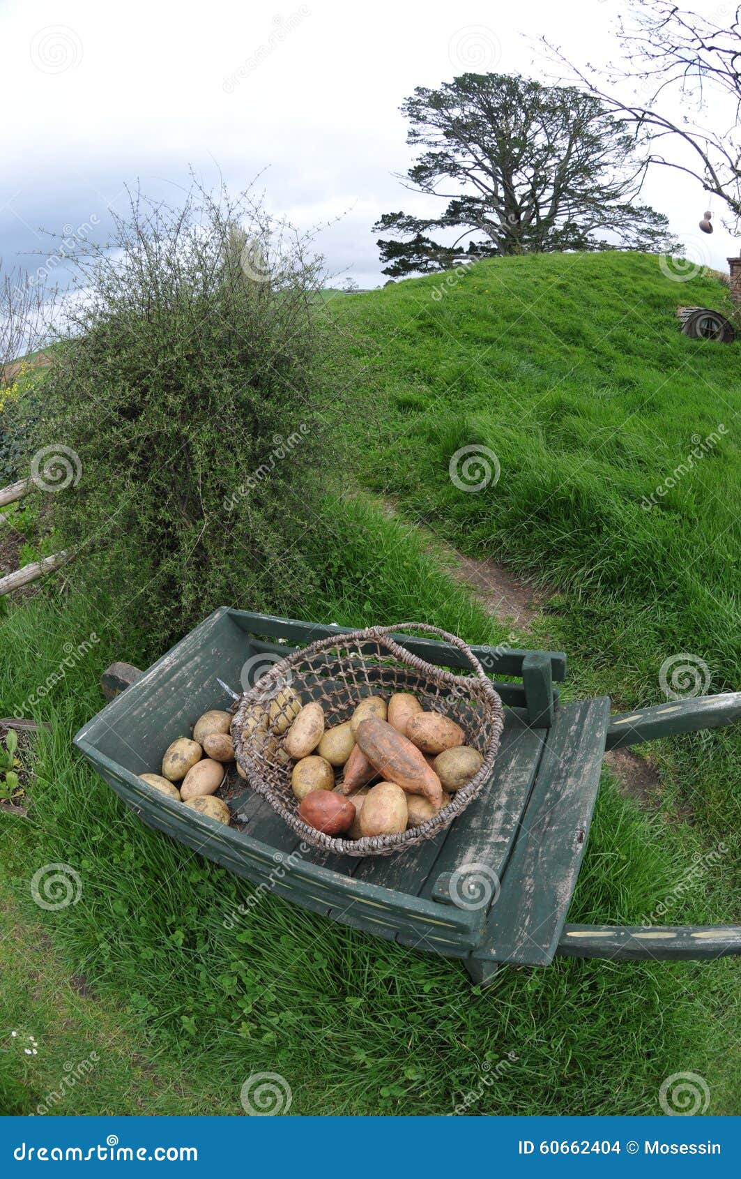 Cart with Vegetable stock photo. Image of ancient, basket - 60662404