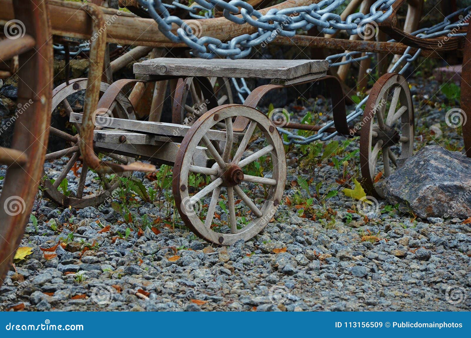 Cart, Wheel, Vehicle, Tree Picture. Image: 113156509
