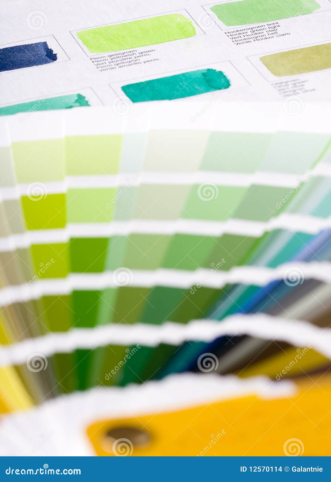 Carta de color foto de archivo. Imagen de verde, pintura - 12570114