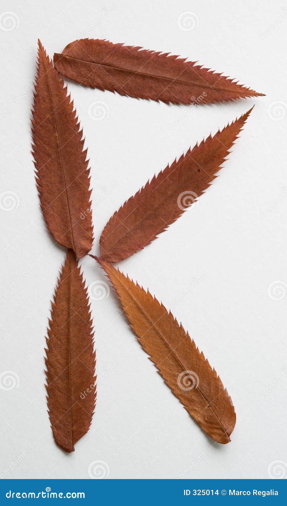 Carta de R foto de archivo. Imagen de cubo, mundo, alfabeto - 325014