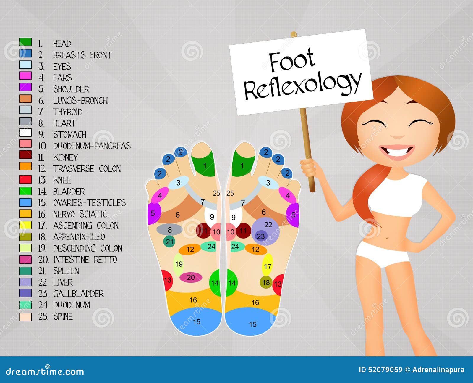 Carta do reflexology do pé ilustração stock. Ilustração de mapa - 52079059