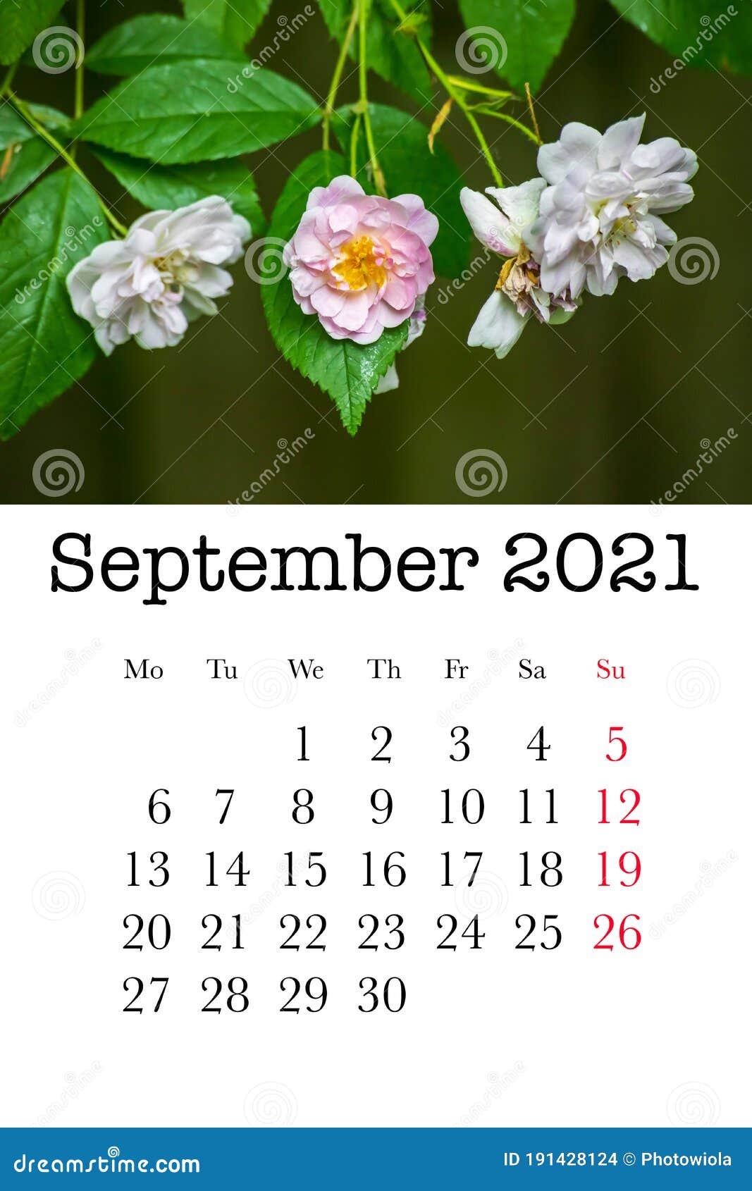 Carte De Calendrier Pour Le Mois De Septembre Photo stock - Image du ...
